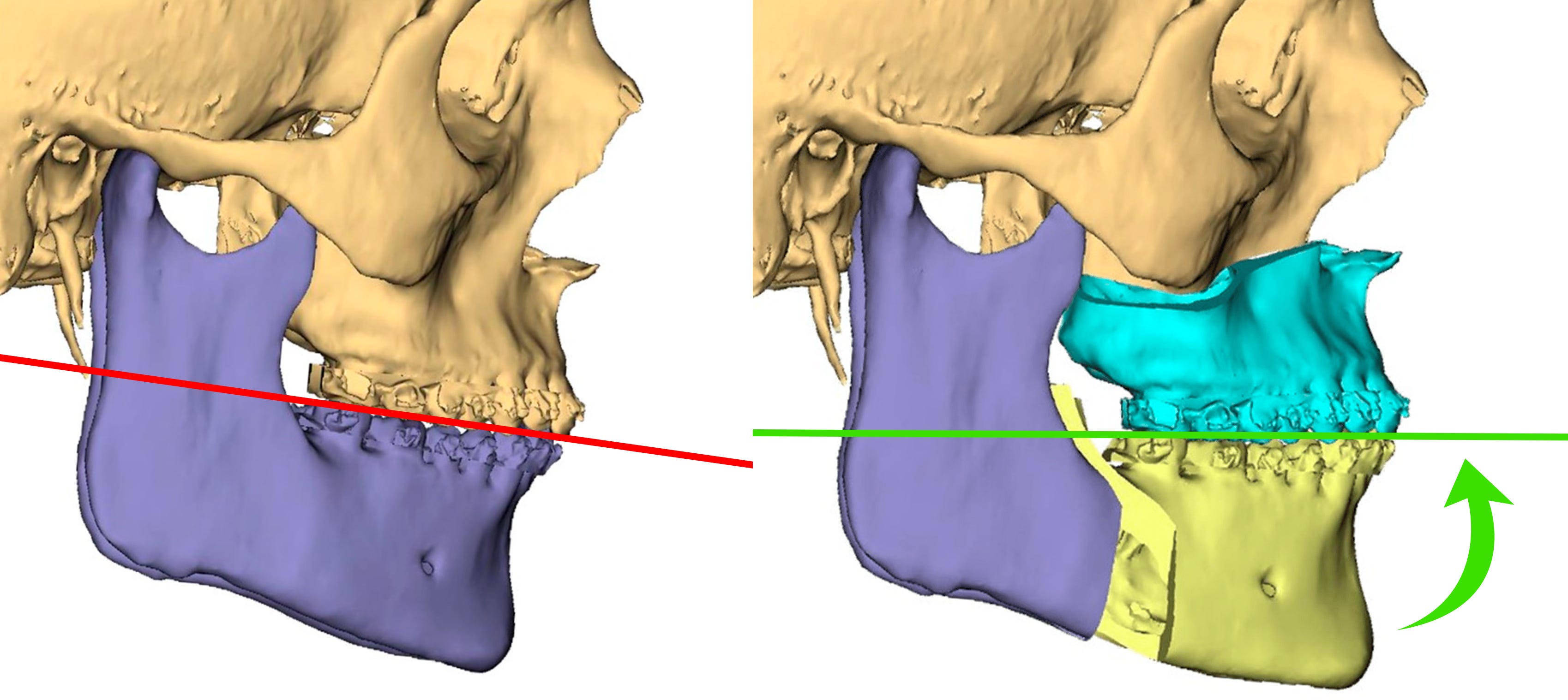 1.3 You Can Become Better Looking - by Ronald Ead