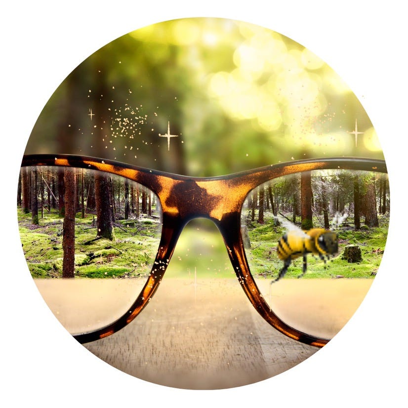 Caro Henry | Substack