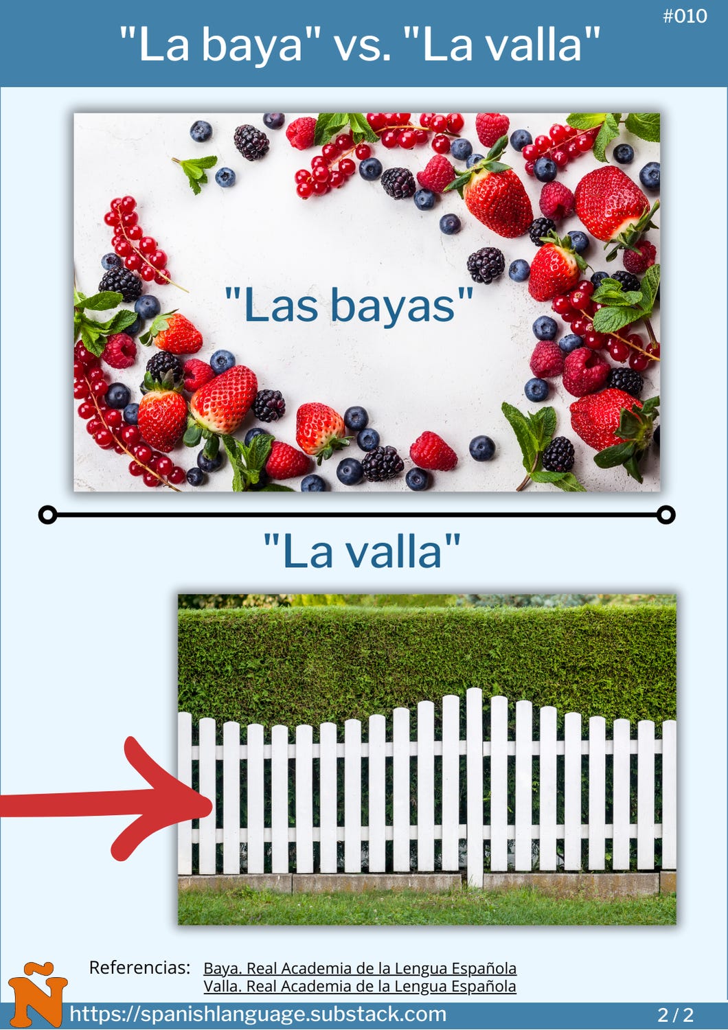 Spanish Homonymous words: ‘La baya’ vs. ‘La valla’. (#010)