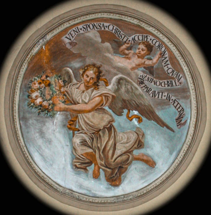 Dorothea Ludwig-Wang | Substack