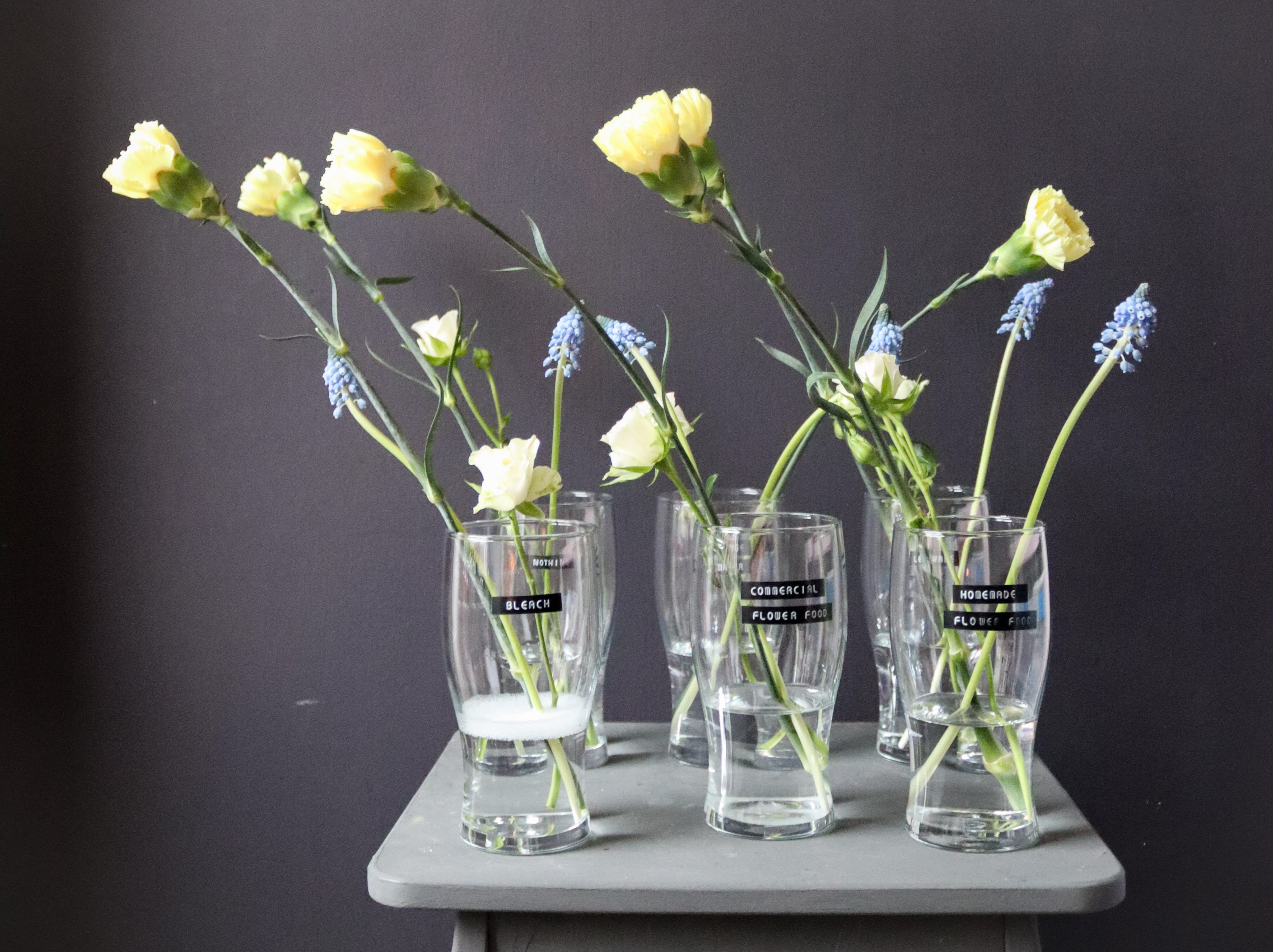 I’m calling bullsh*t on flower food. - by Sarah Rushbrooke