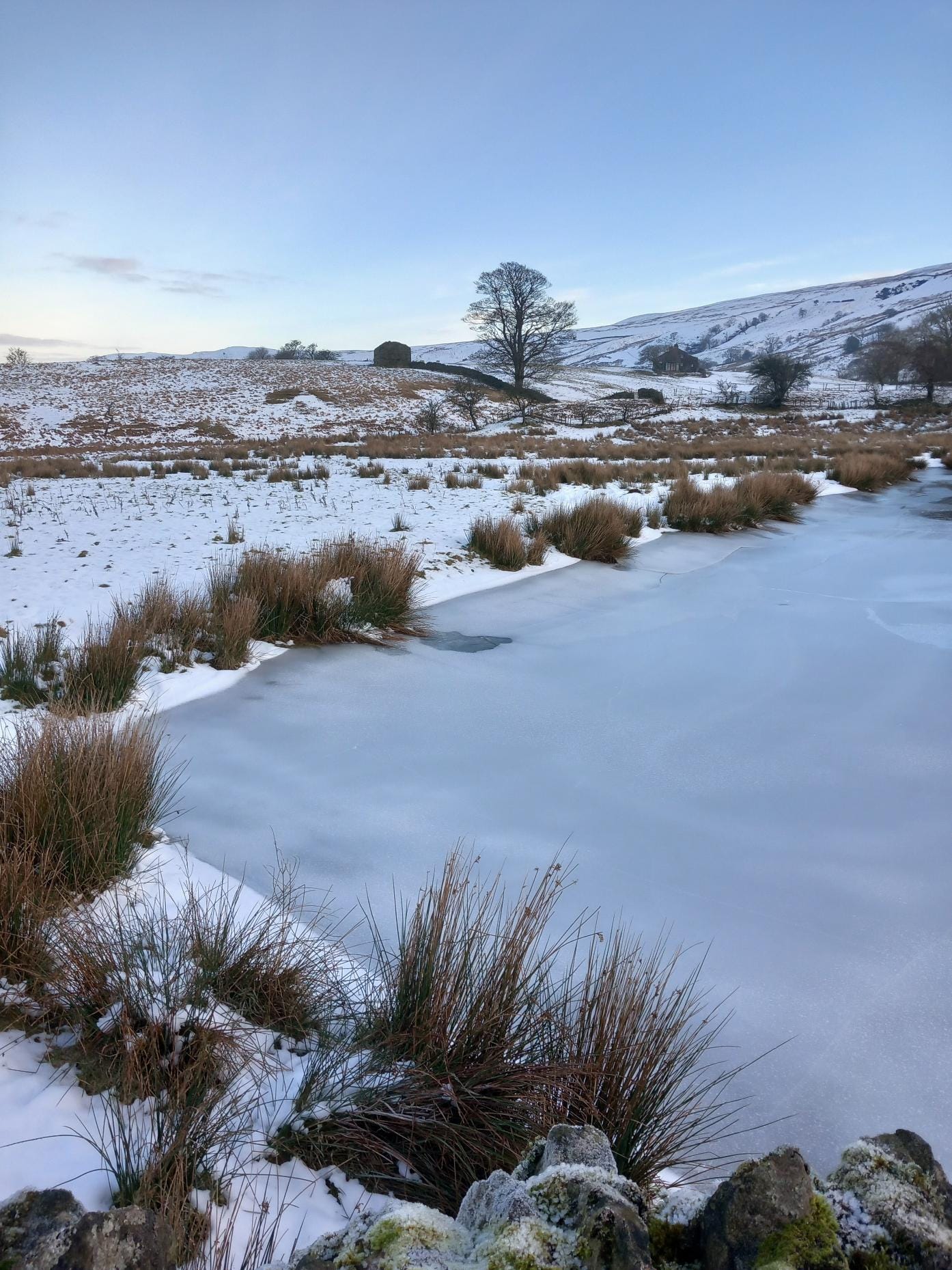 A winter walk before the dawn - by David Knowles