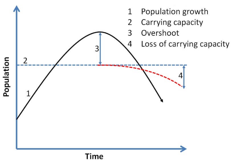 10 Reasons Our Civilization Will Soon Collapse