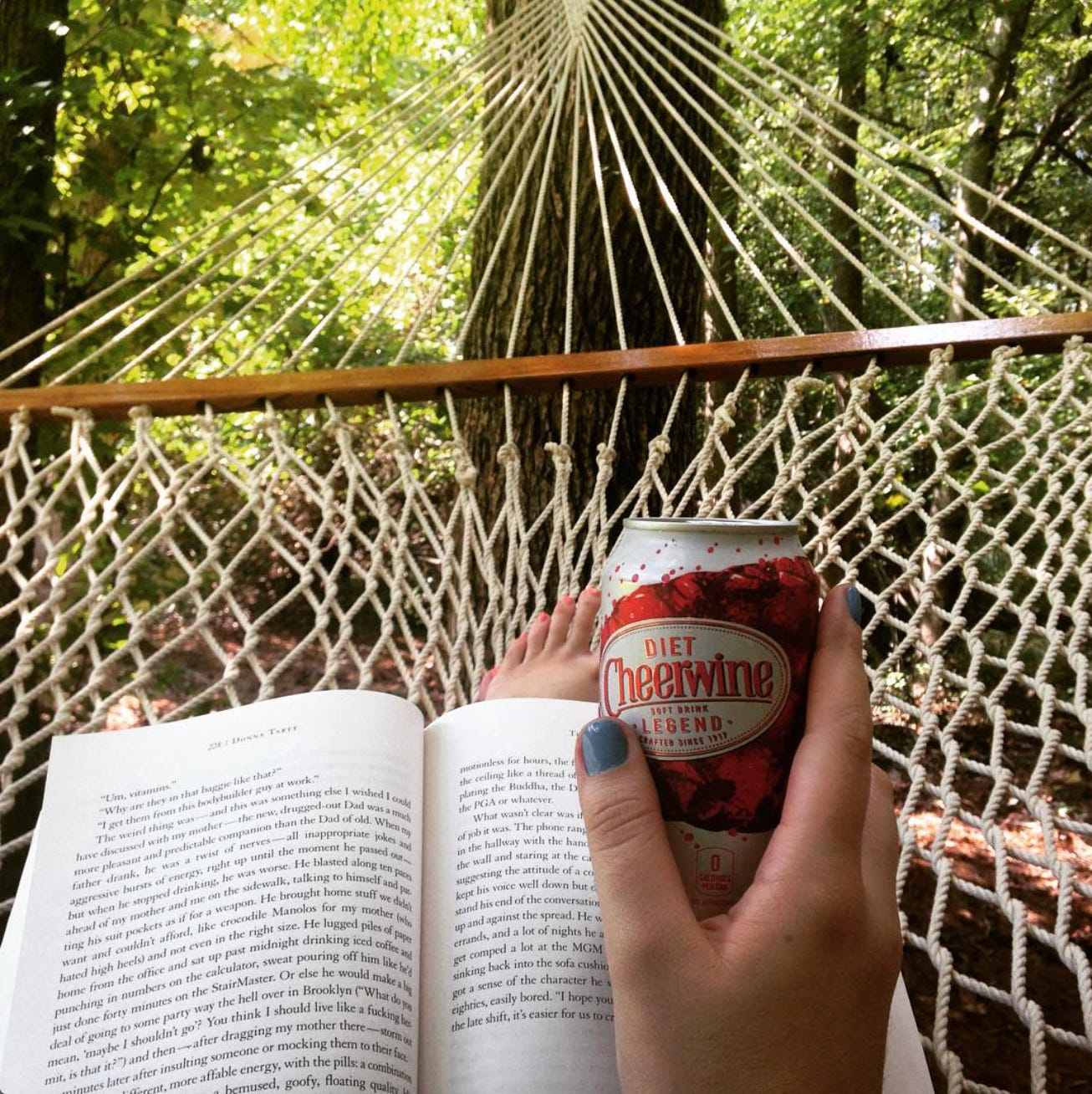 In Praise of the Regional Soda - by Emma Baccellieri