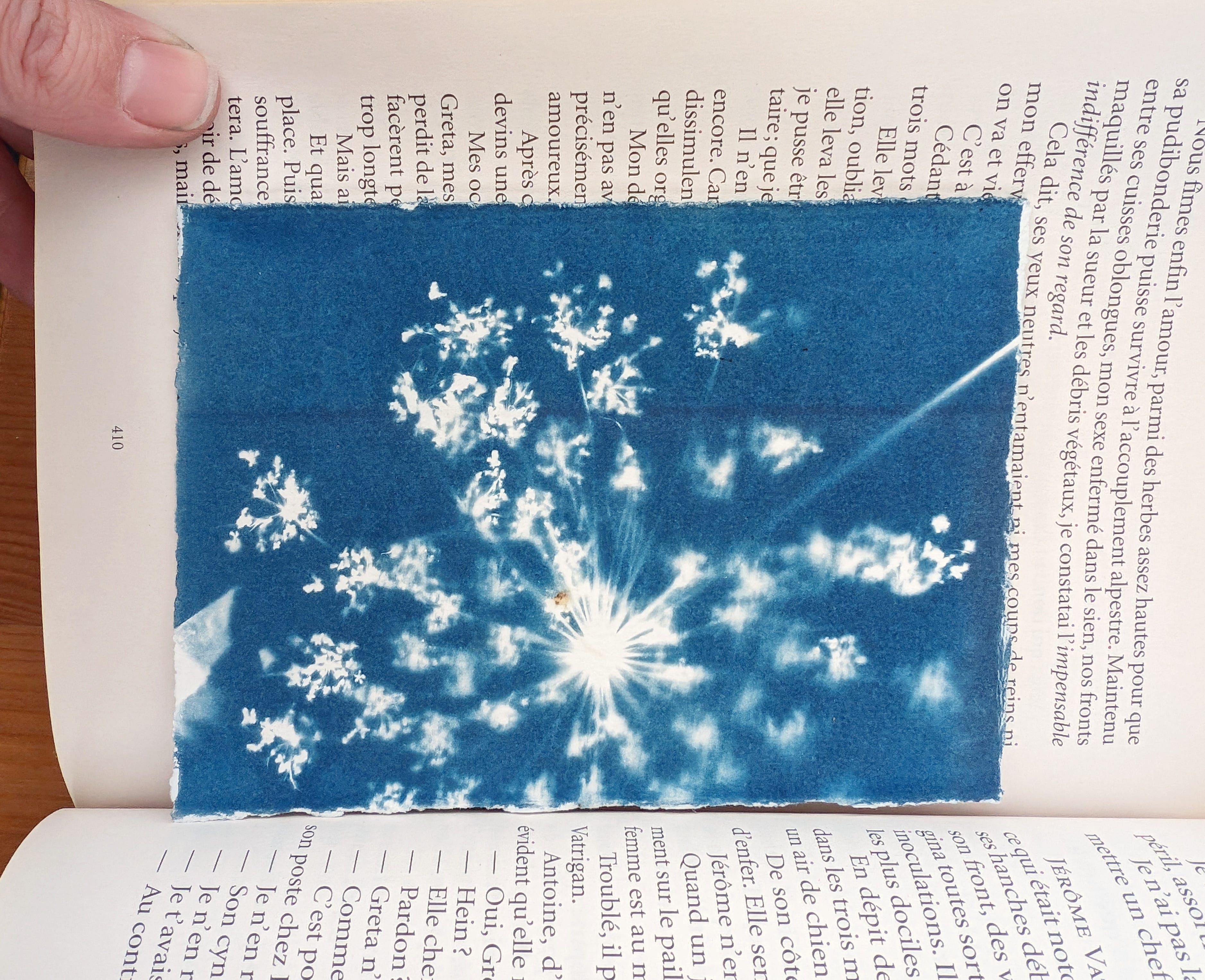 002 - Things I’ve learned with cyanotypes - by Stephanie