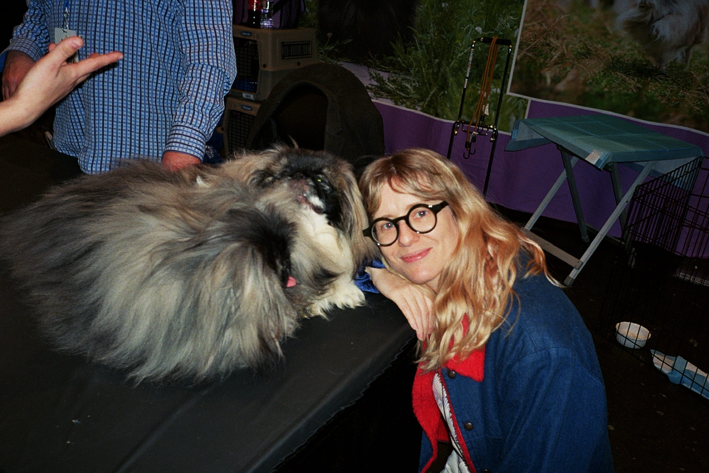 15 things I consumed this week - by Haley Nahman