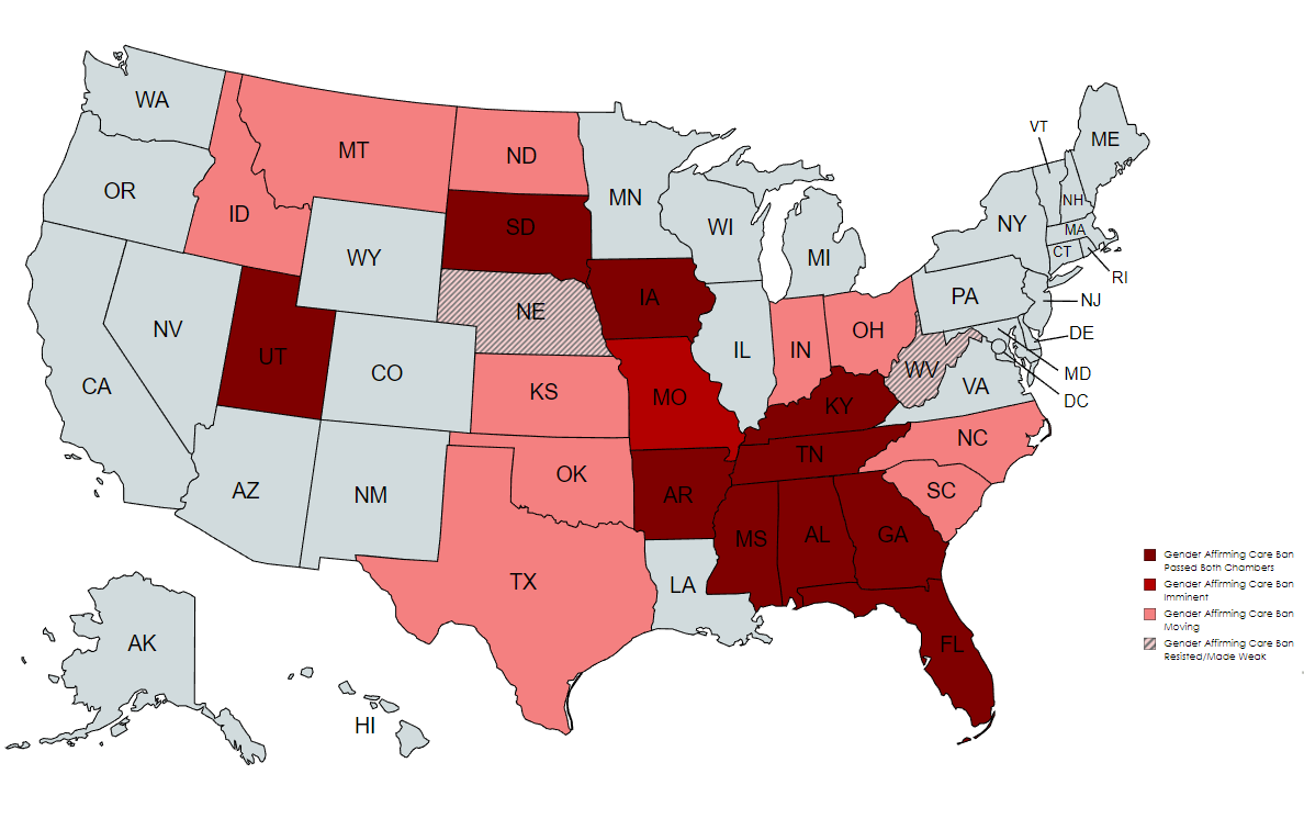 Georgia Becomes 10th State To Pass A Ban On Trans Care For Youth