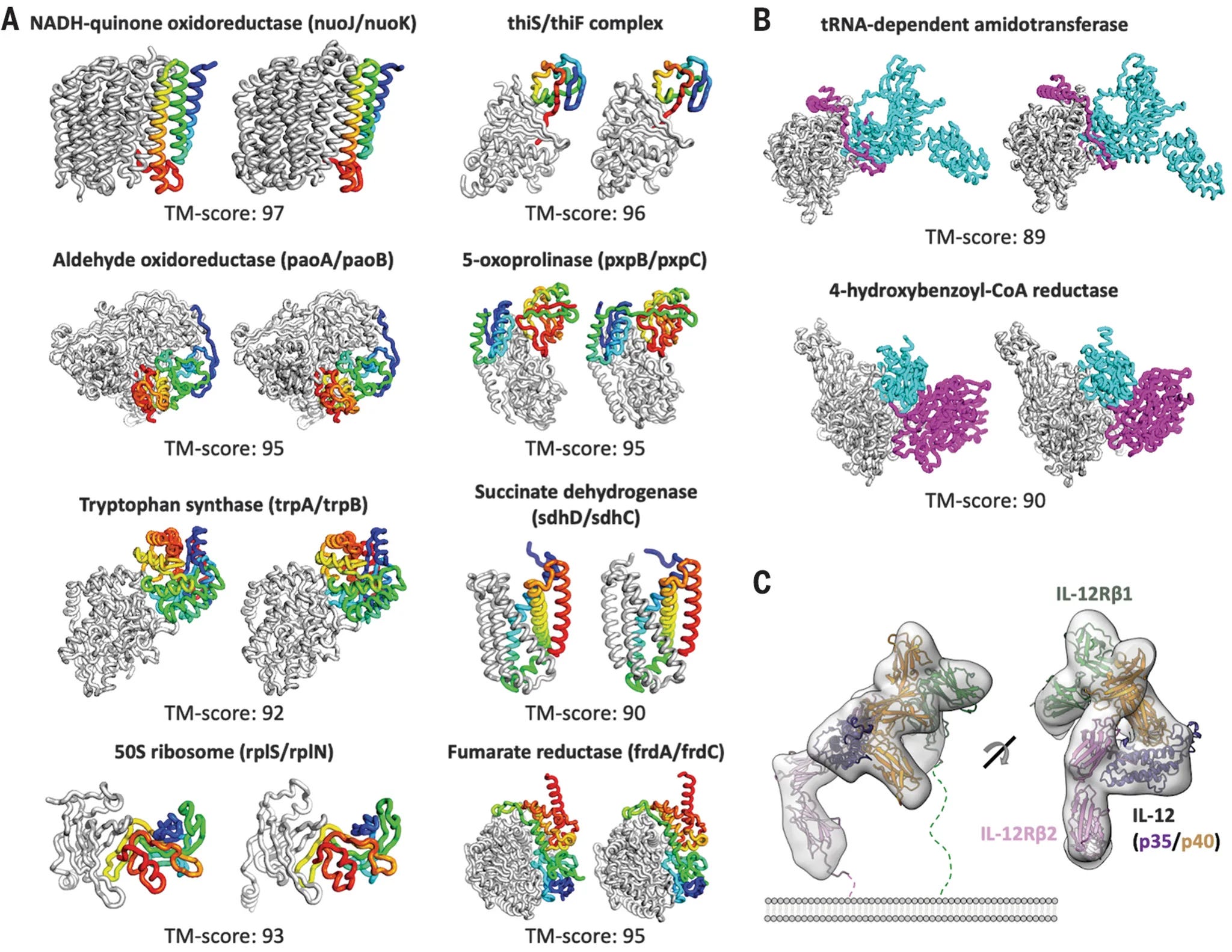 A Complete Guide to Protein Folding Prediction with RoseTTAFold: Part I