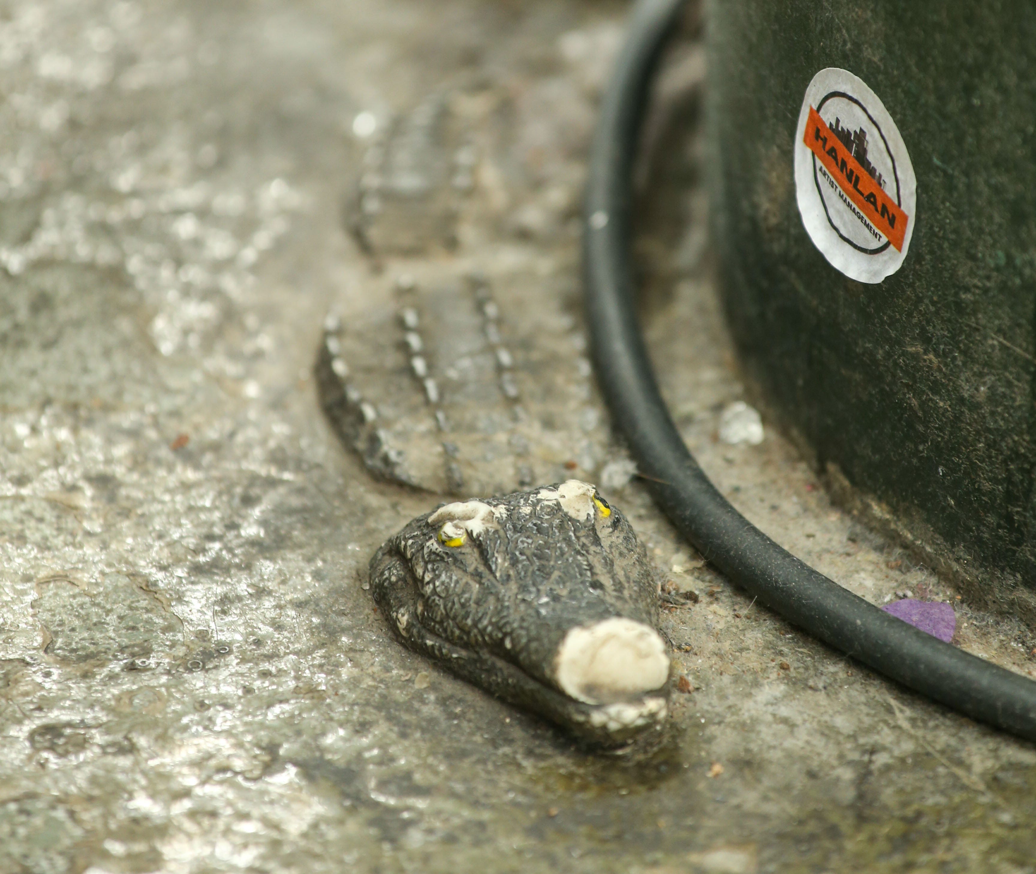 A famous prisoner, a rag trade market, a hidden alligator: the ...