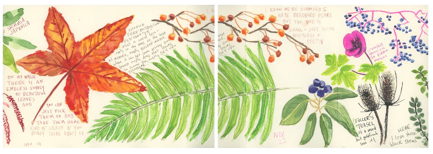 How To Draw A Group Of Leaves