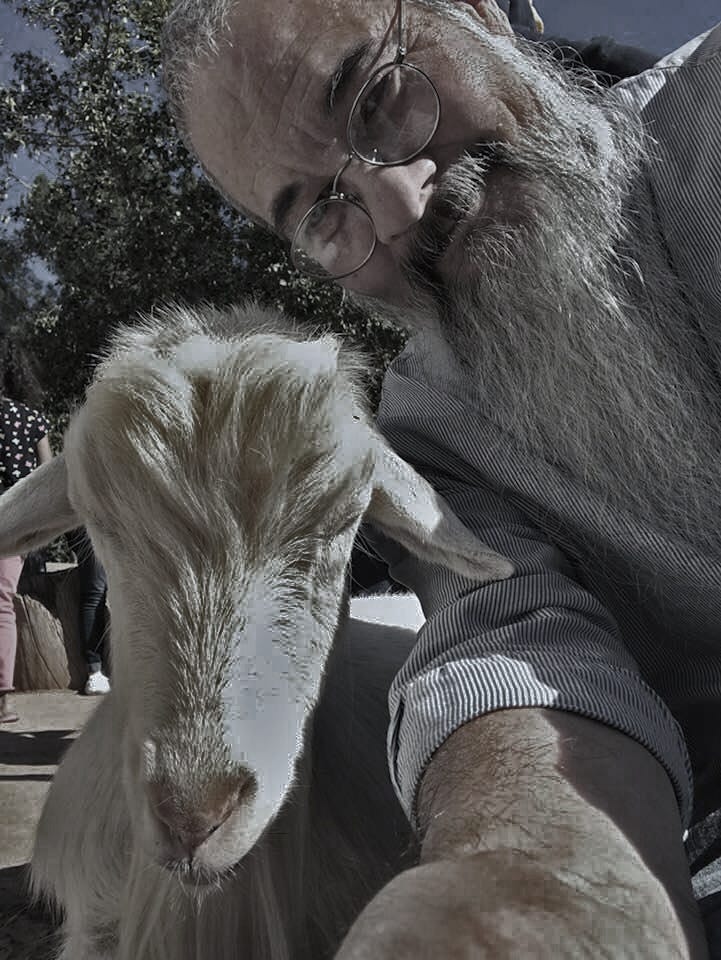 The Sheep and the Goats - by Steve Robinson