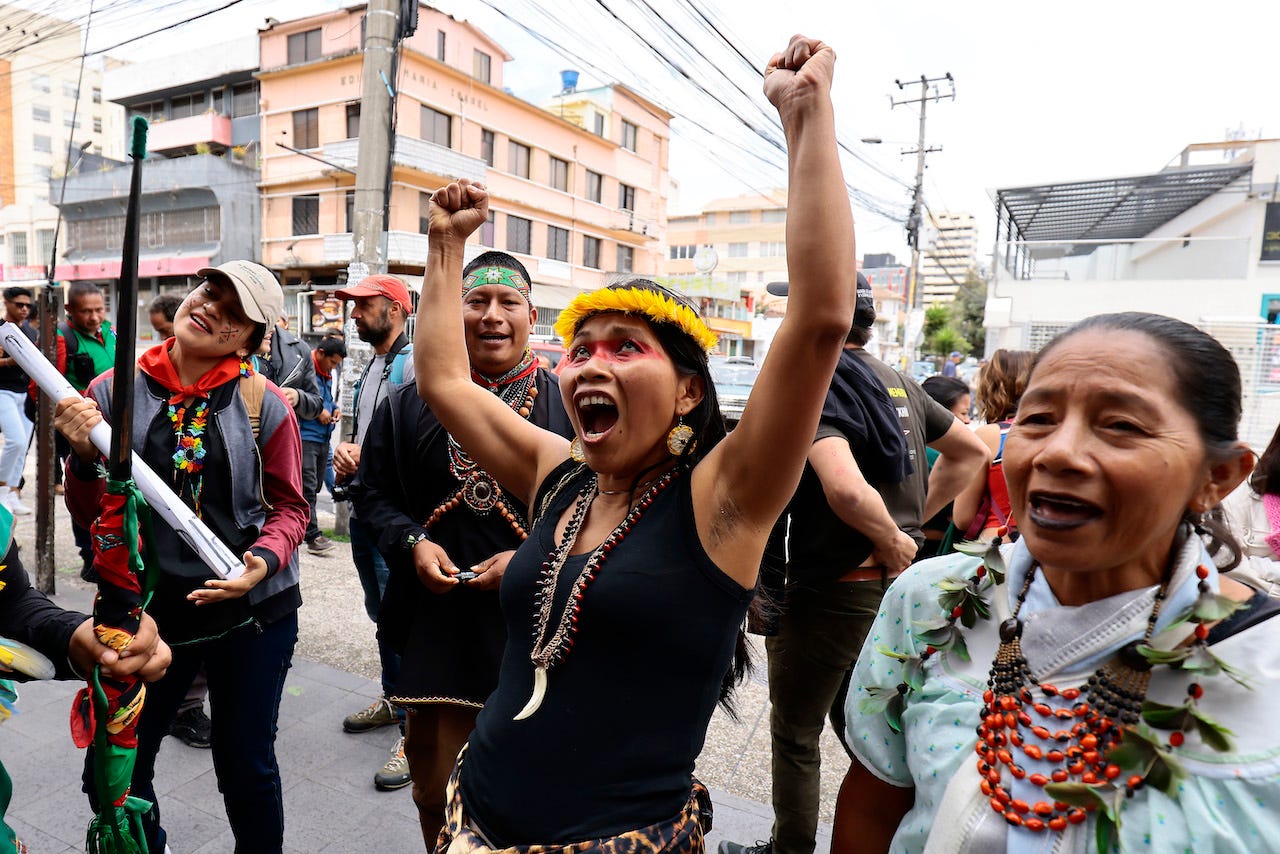 Yes, climate activism can win - by Arielle Samuelson