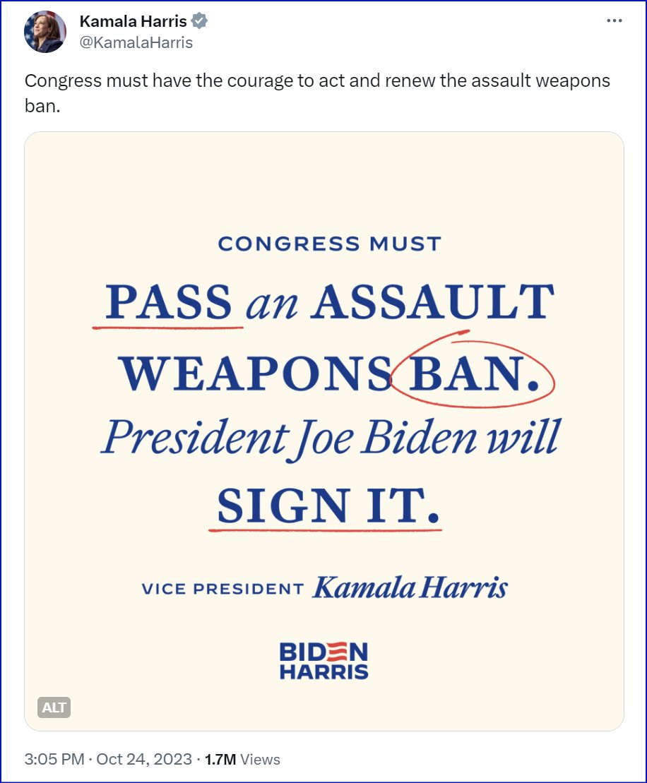 Buy More Guns - by Merissa Hansen - The Houston Comical