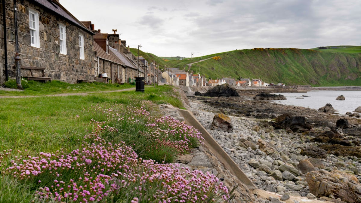 Find Out What Life Was Like For Our Scottish Ancestors