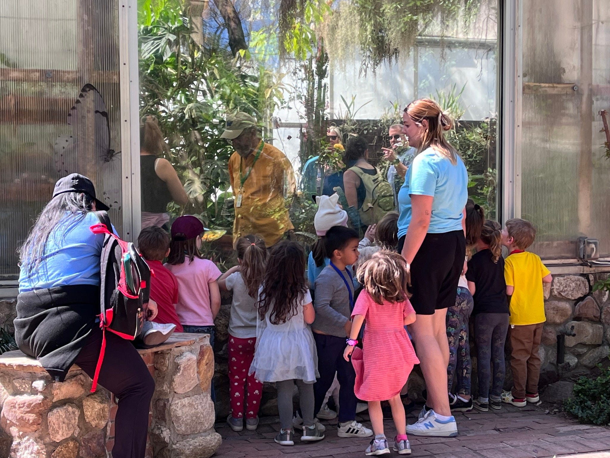Blooms and Butterflies in the Desert - by Deb Sinness