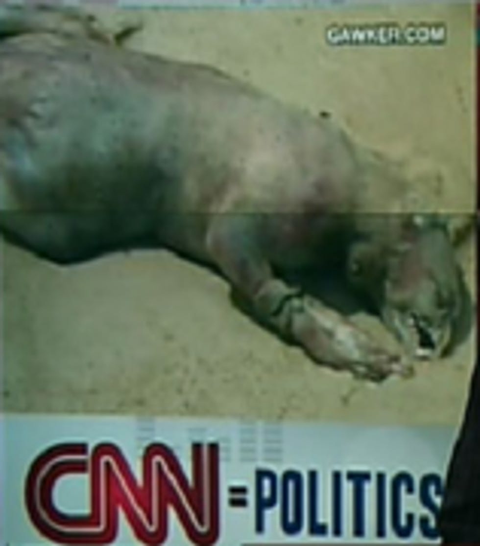 Did Bush Administration Loose Montauk Monster Upon America's Beach?