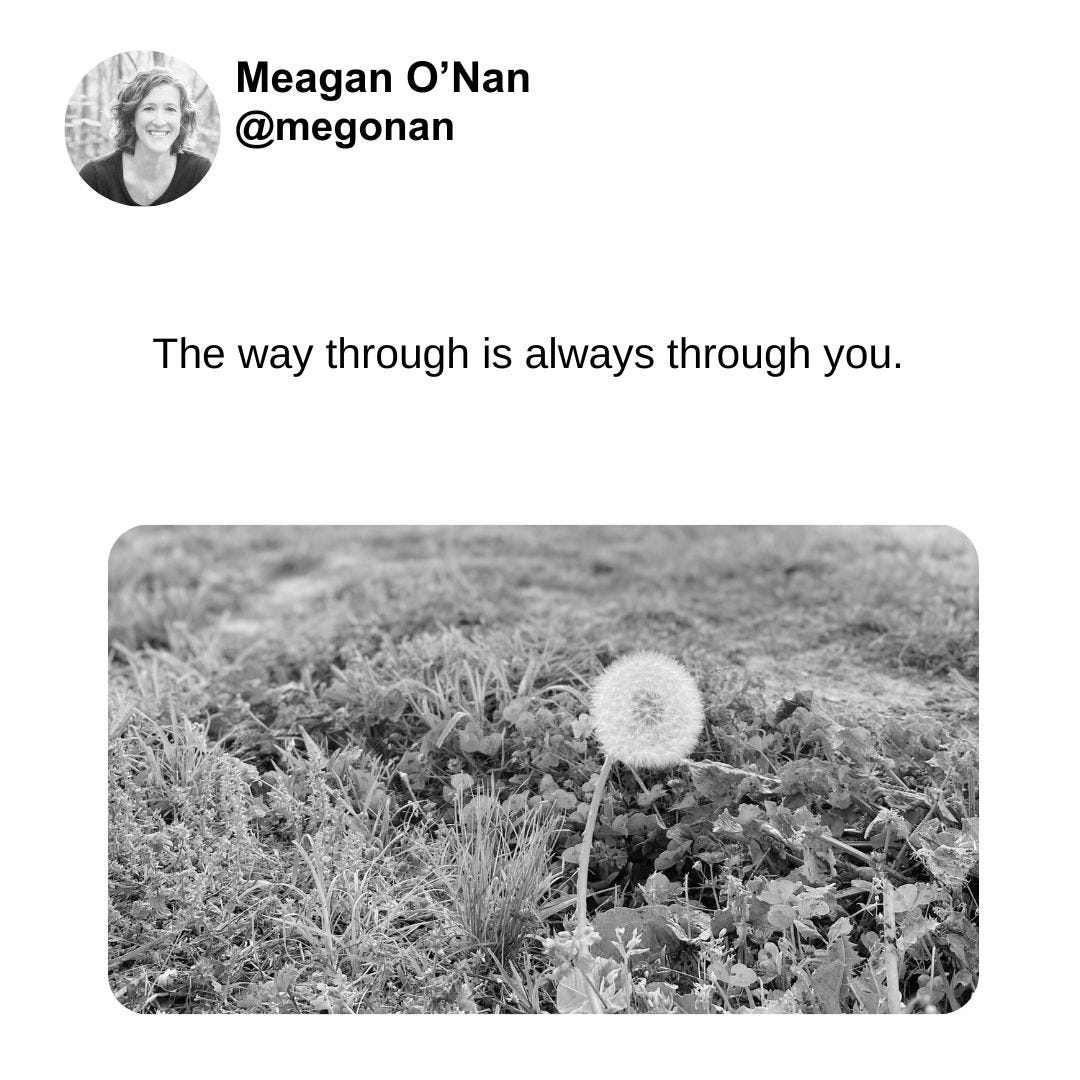 How To Know You Are On The Right Path - by Meagan O'Nan