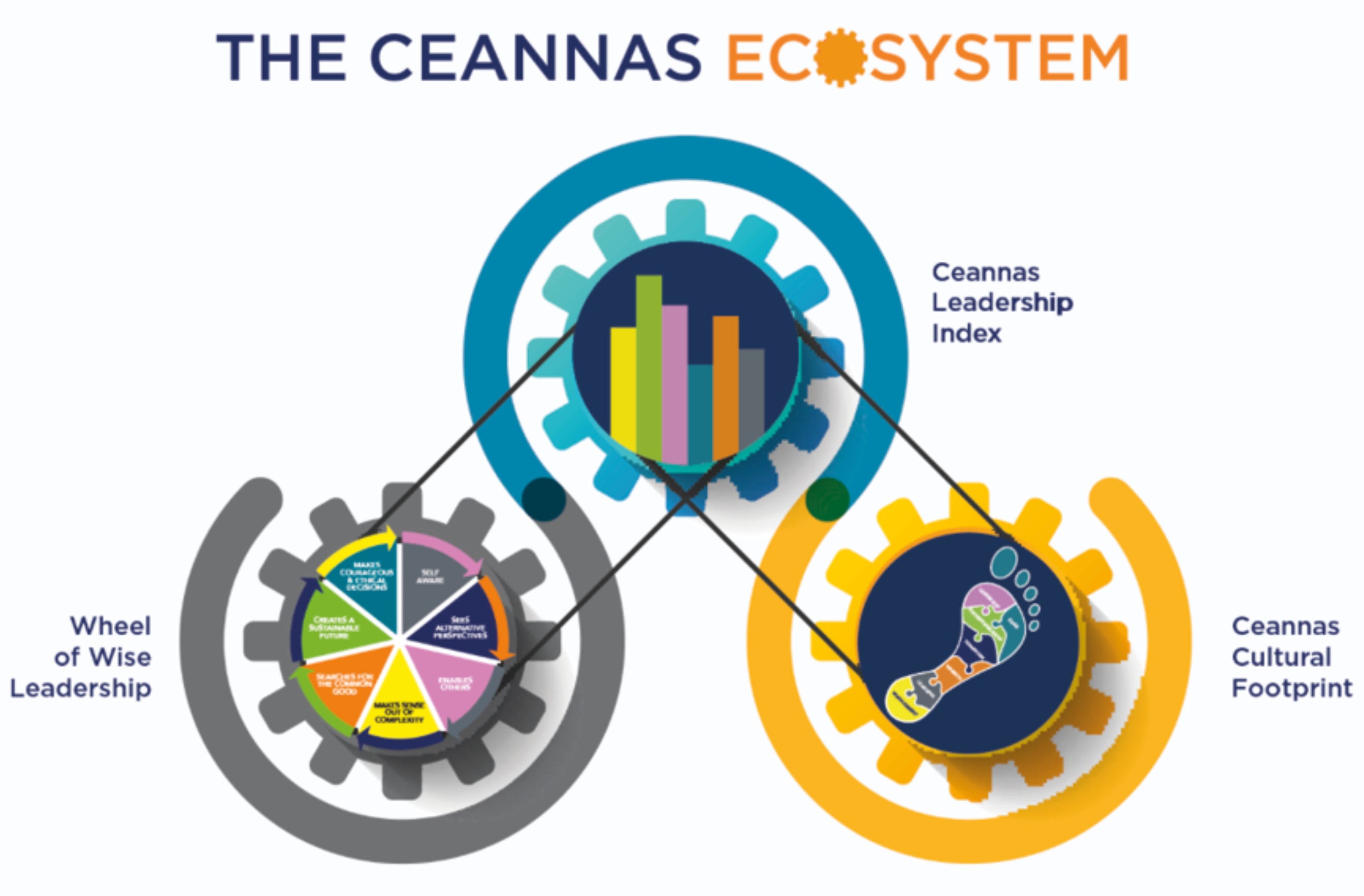 Bayer AG - Turning the Organisational Pyramid on its Head