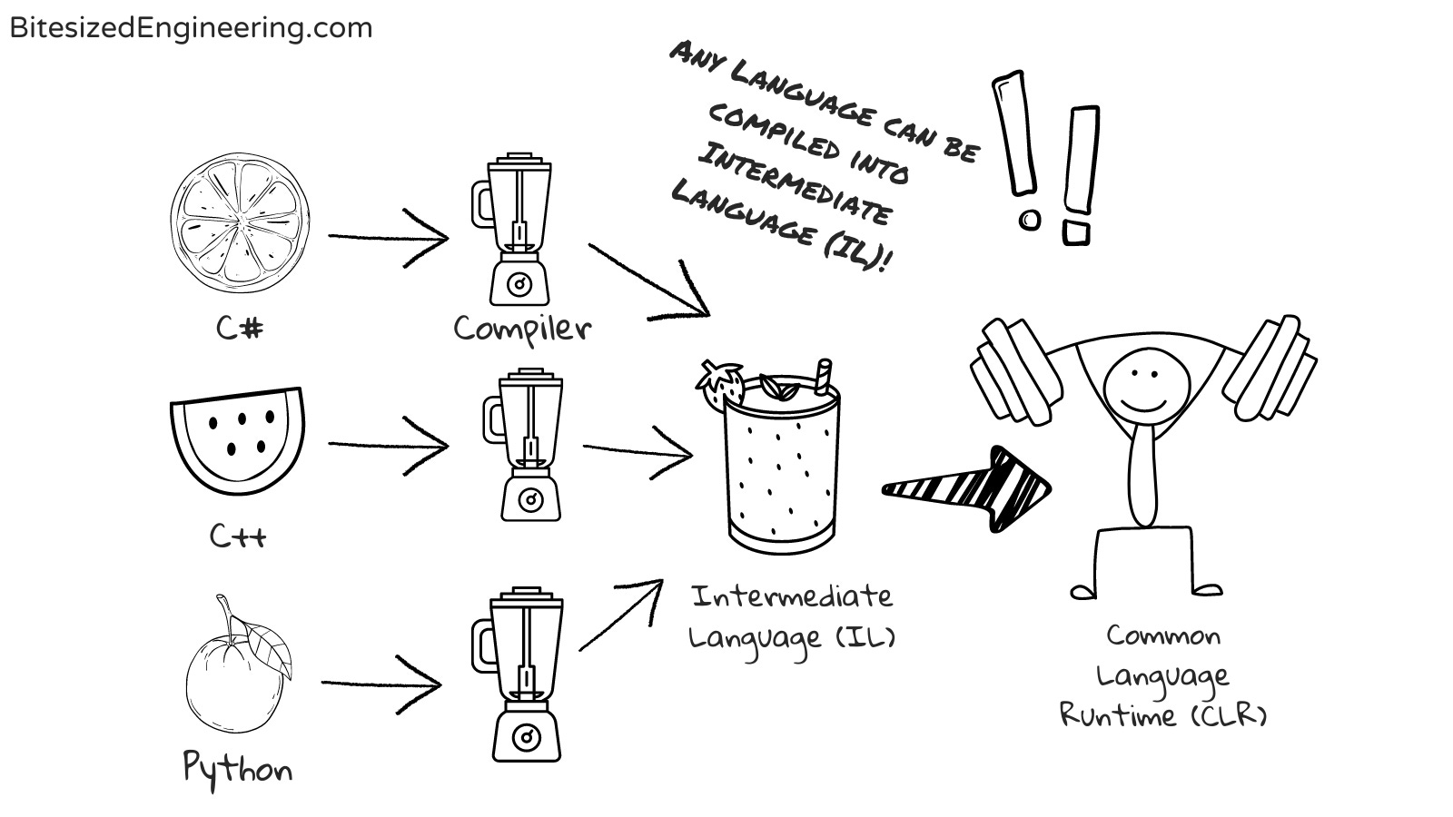 Common Language Infrastructure Runtime Type System And Other C S