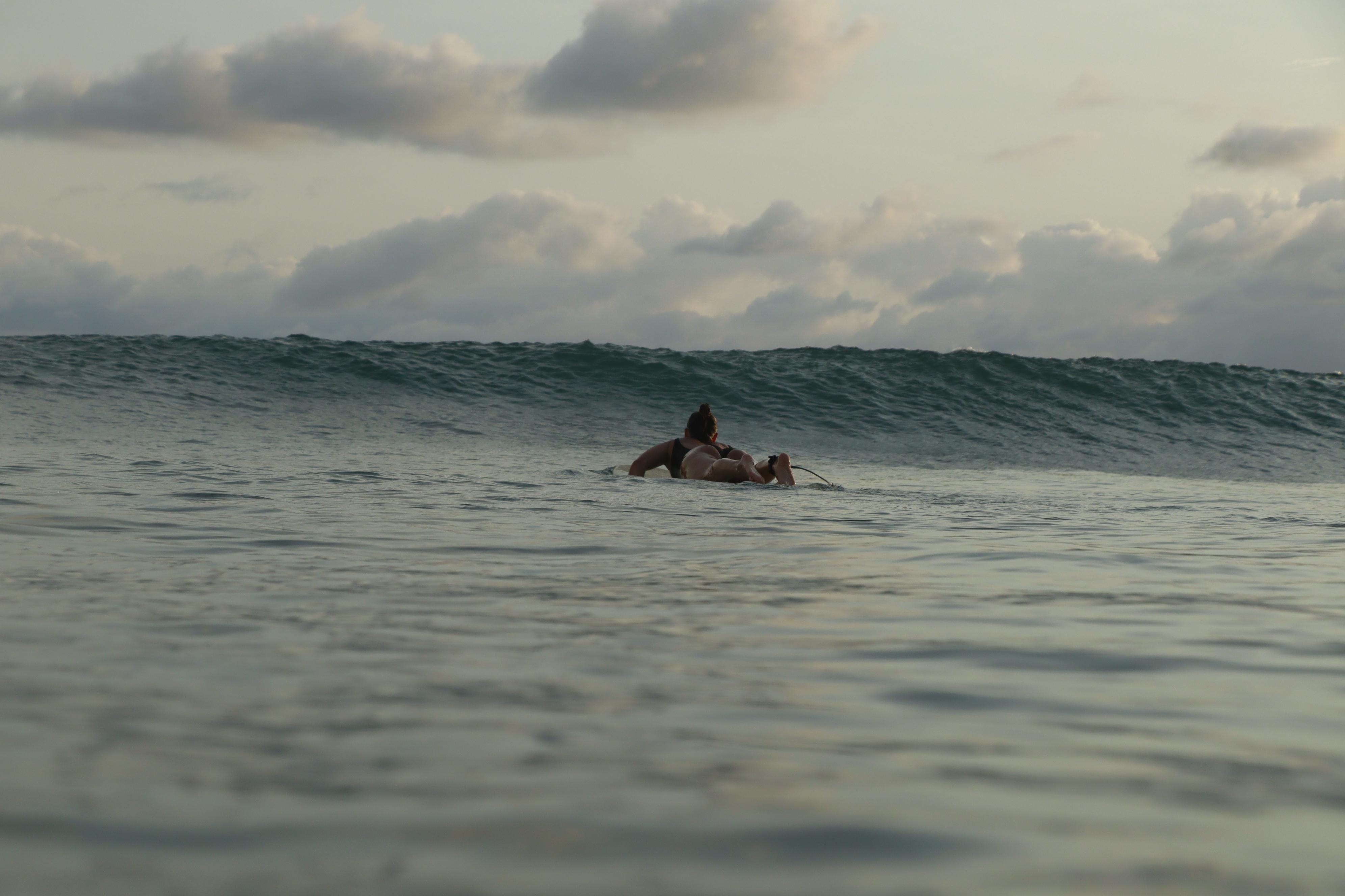 Dejar pasar la ola. - Dosis Marina Substack