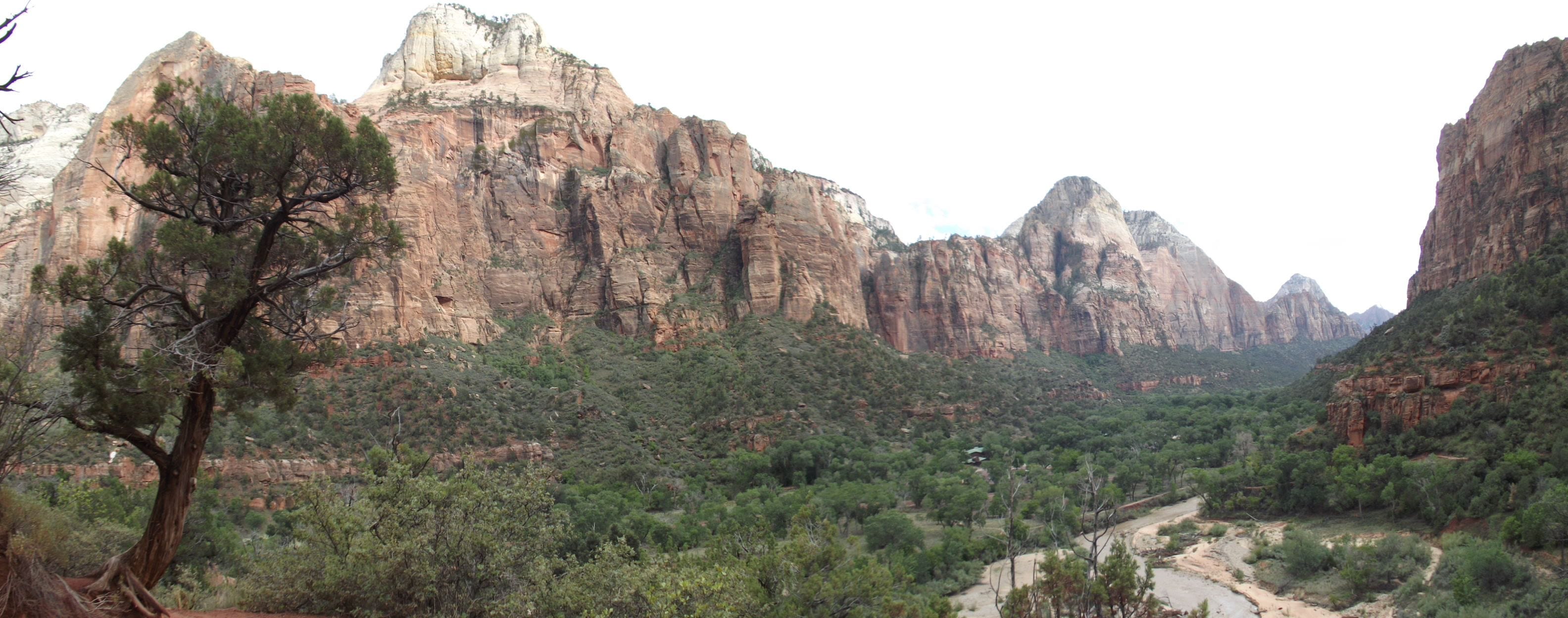 Diagnosis DEATH - by Skip Stein - Skip’s Substack