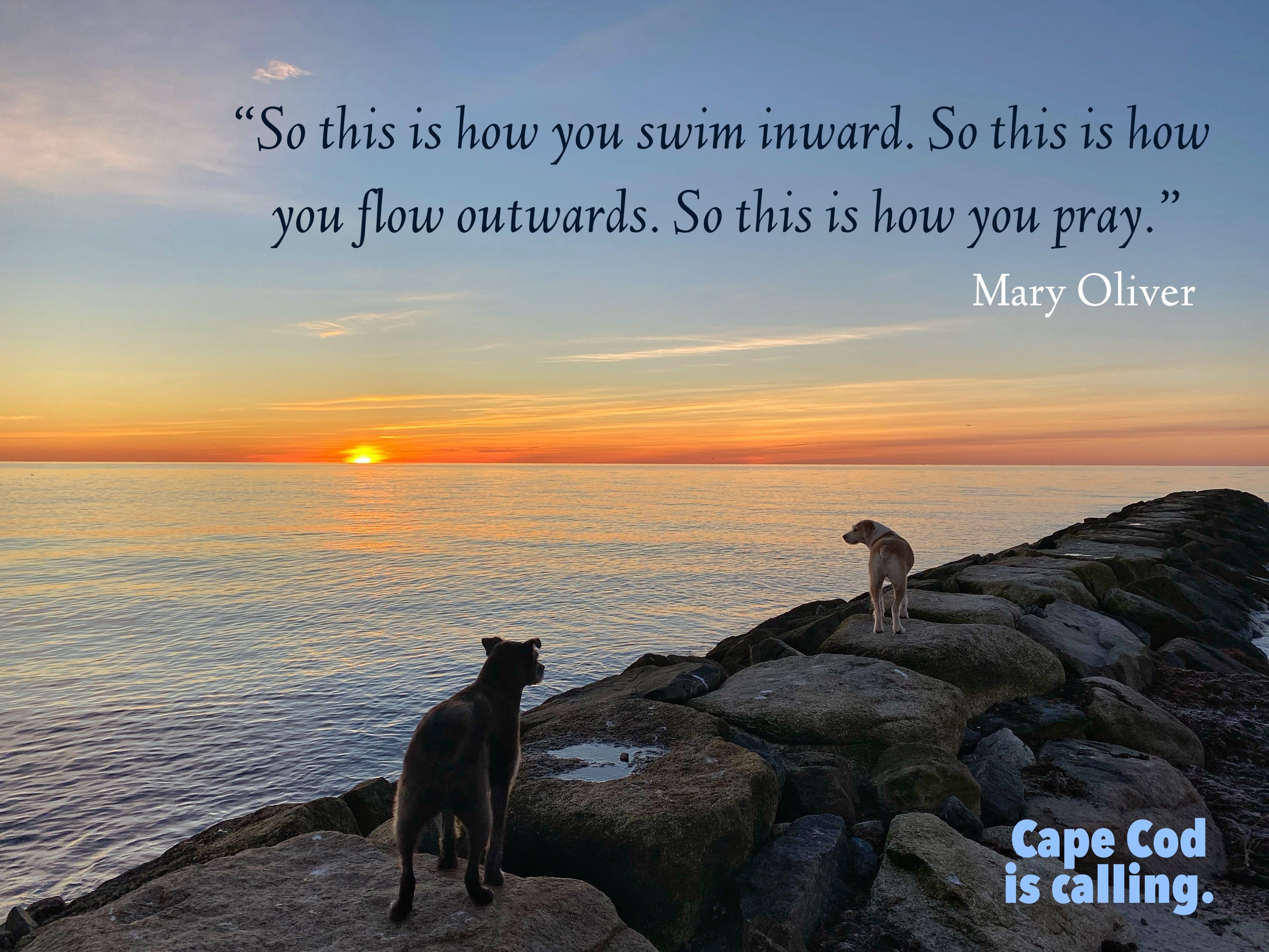 Plans Change, Excitement Builds, Adventure Awaits!