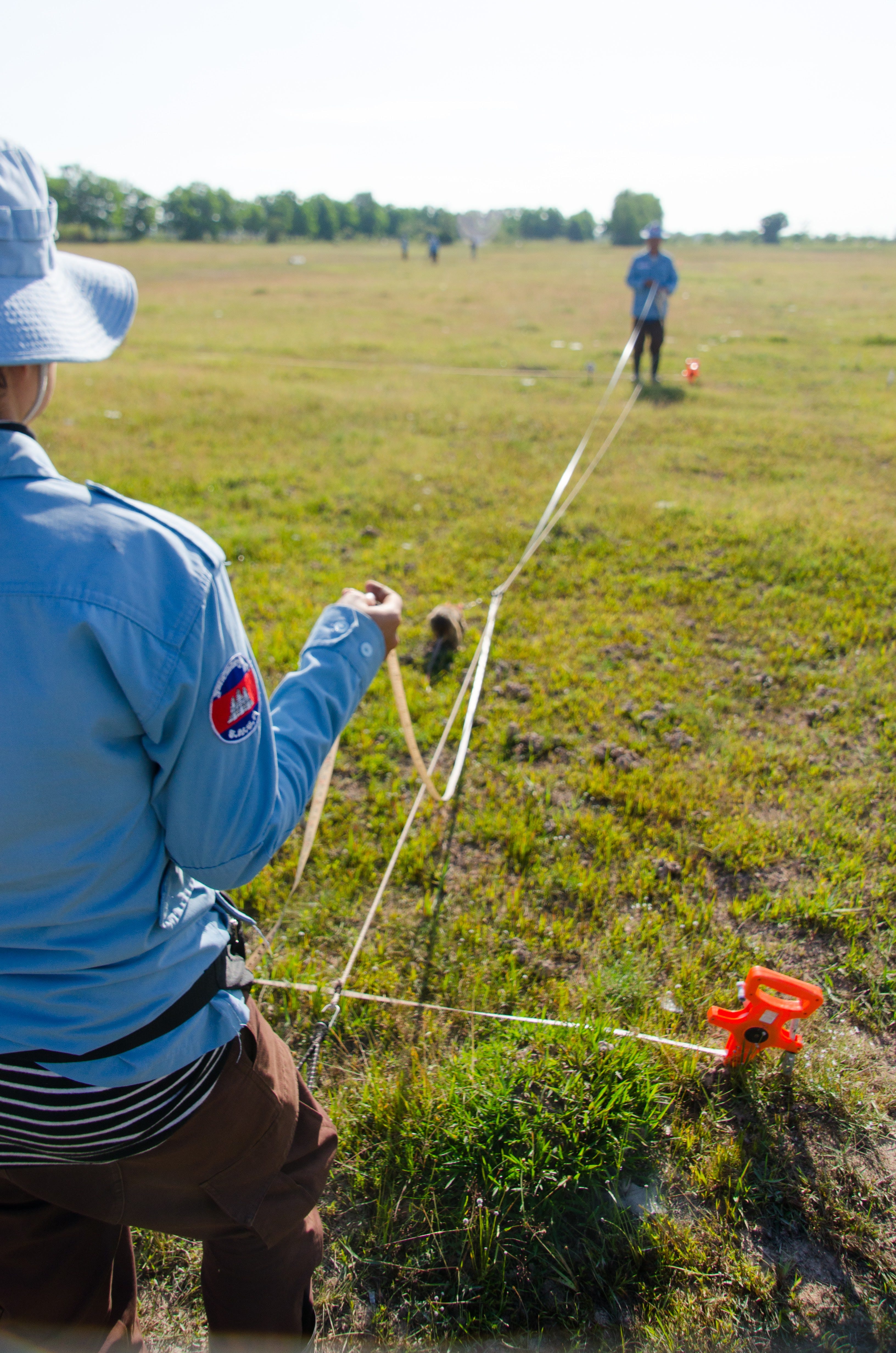 The Amazing Mine-Sniffing Rats of Cambodia