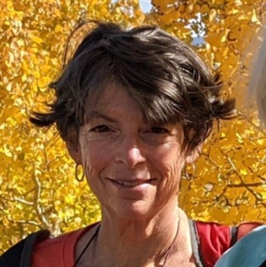 Suzanne Orrell | Substack