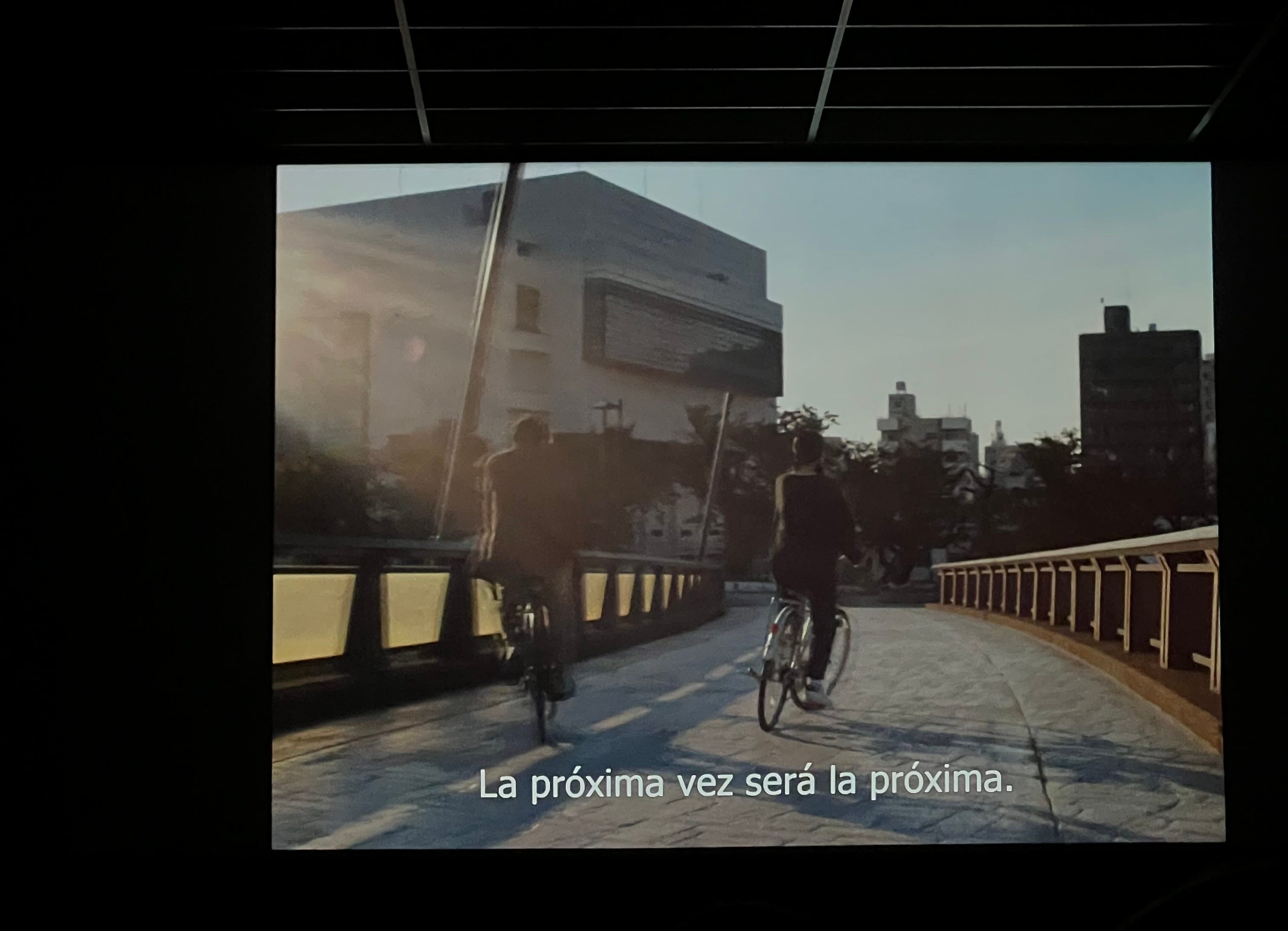 Perfect Days - Andrea’s Substack