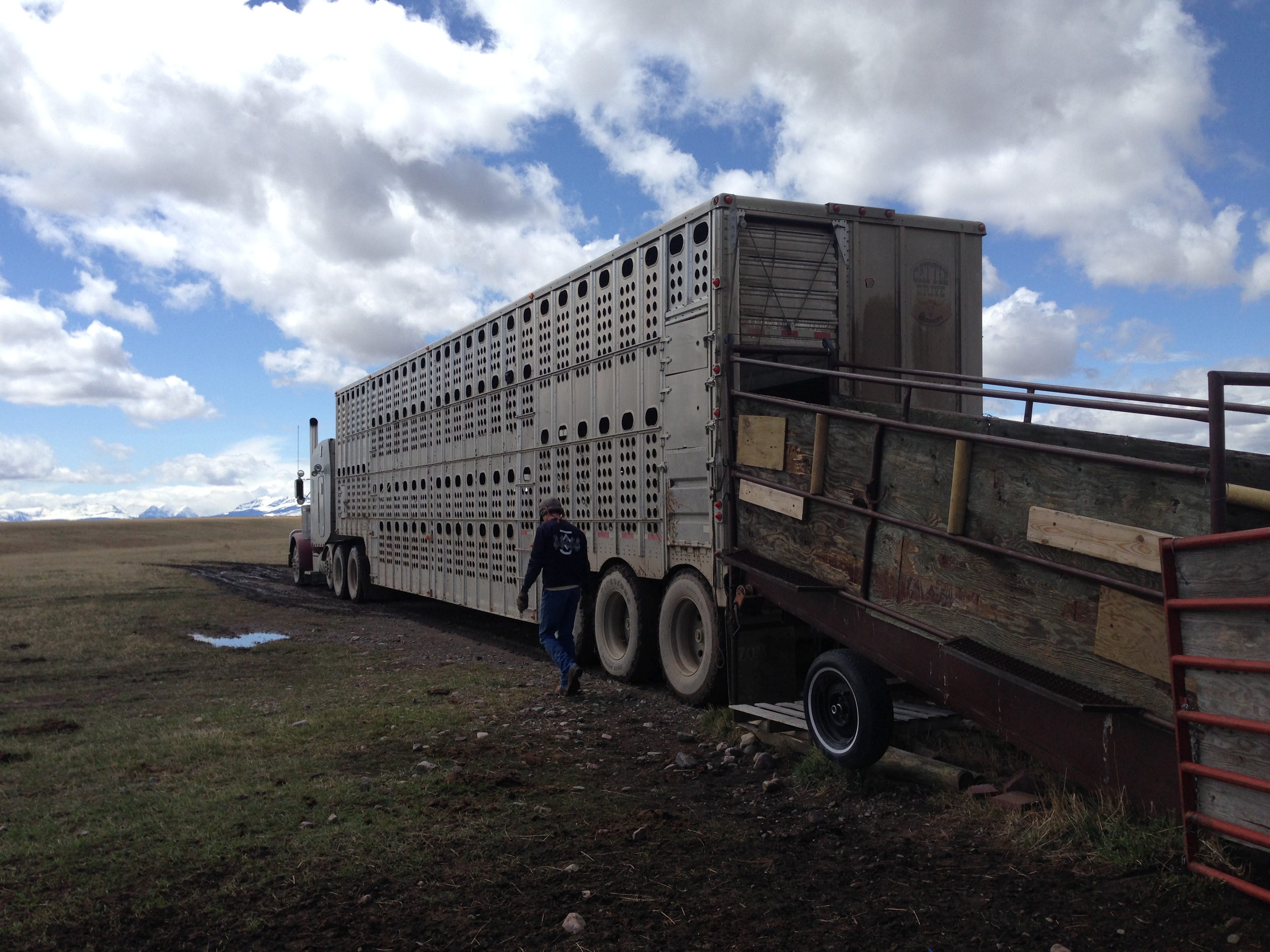 Finding Joy in the Chaos - by Stacy Bronec - Farm to Table