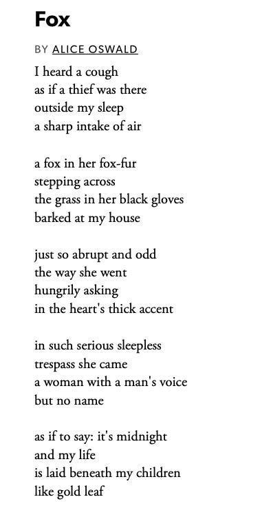 A Selection of Poems for Your Weekend - by Maya C. Popa