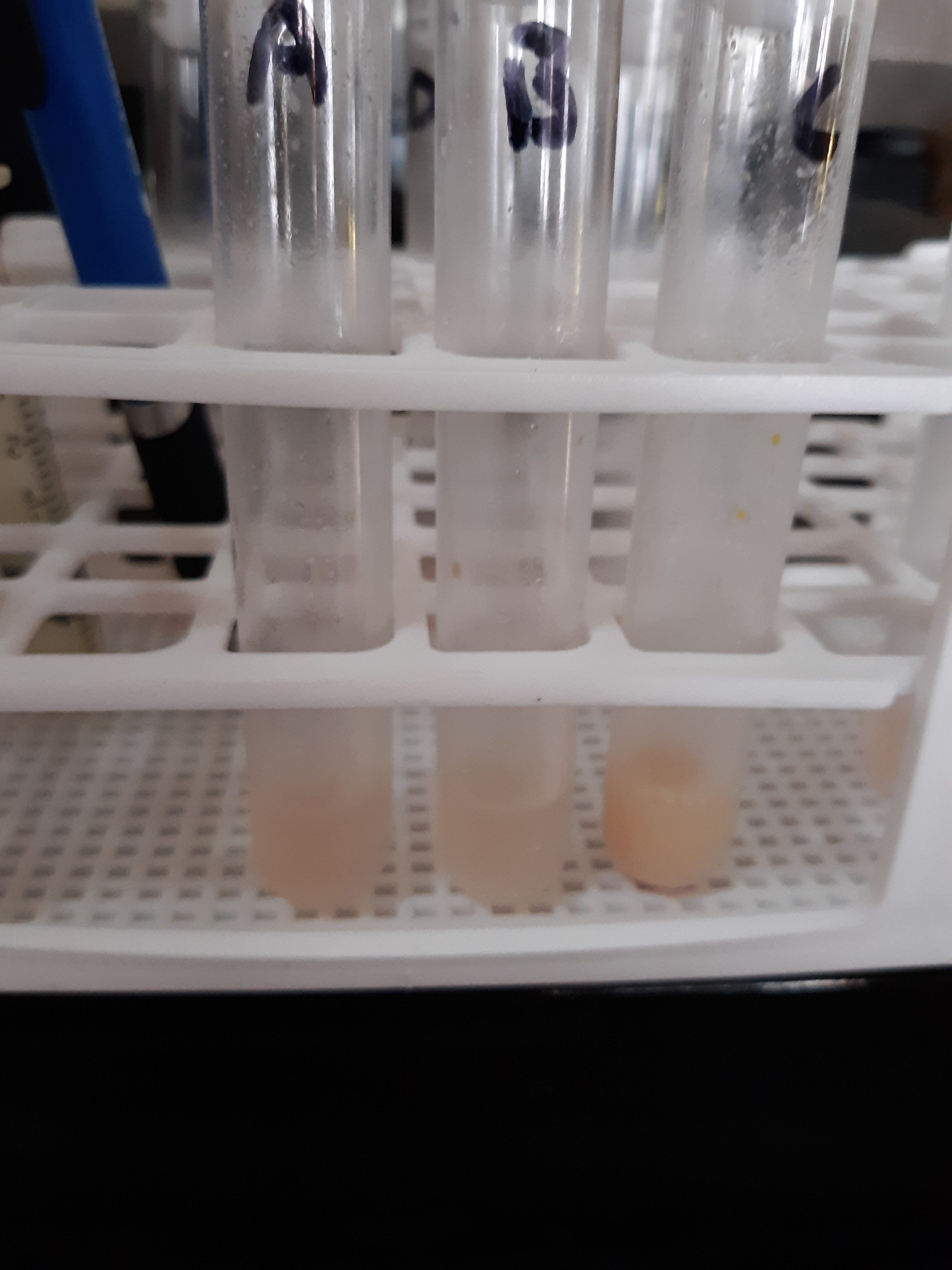 Dissolving Gel/plastic - by Ronald D Norris