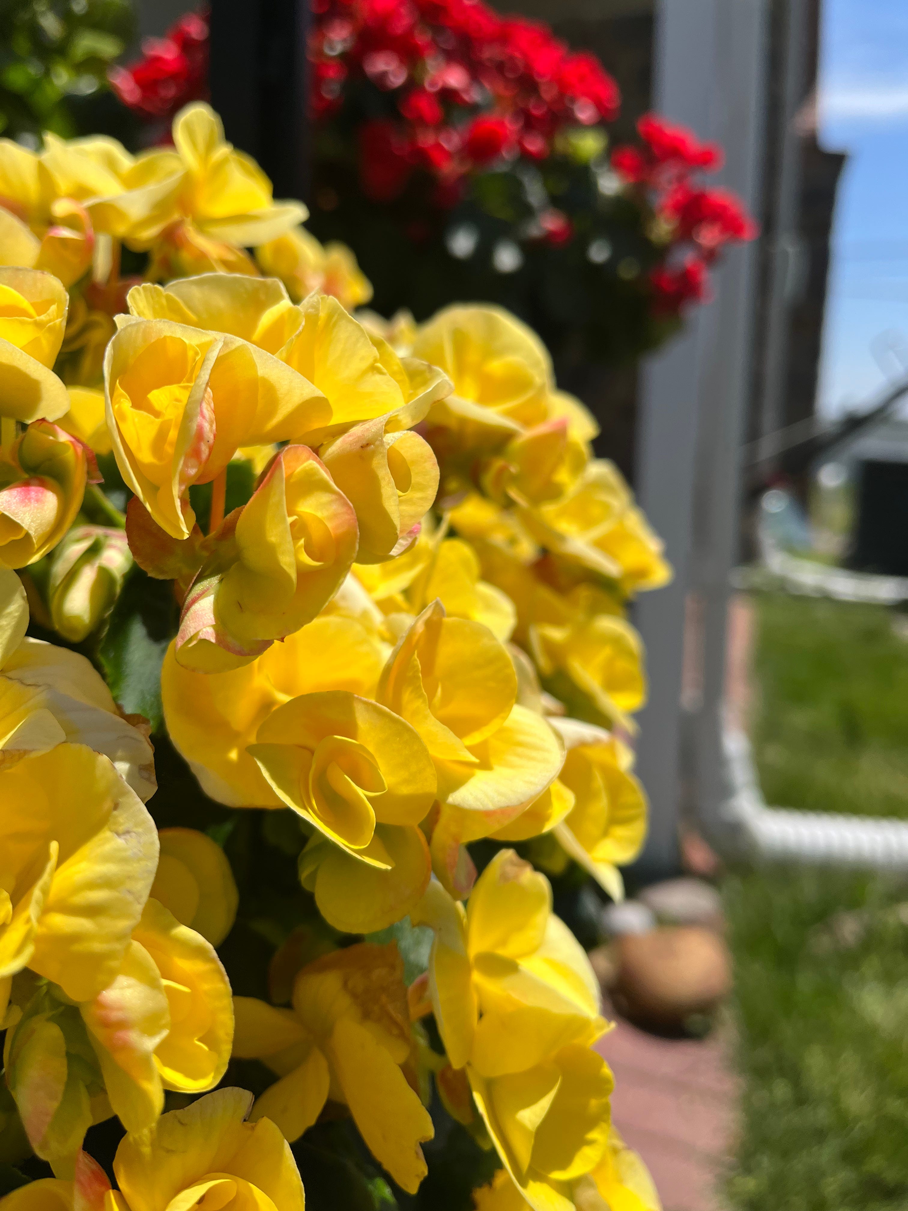 death. - by Kaitlin Curtice - The Liminality Journal