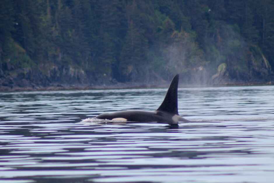 Mary Beth Rew Hicks | Substack