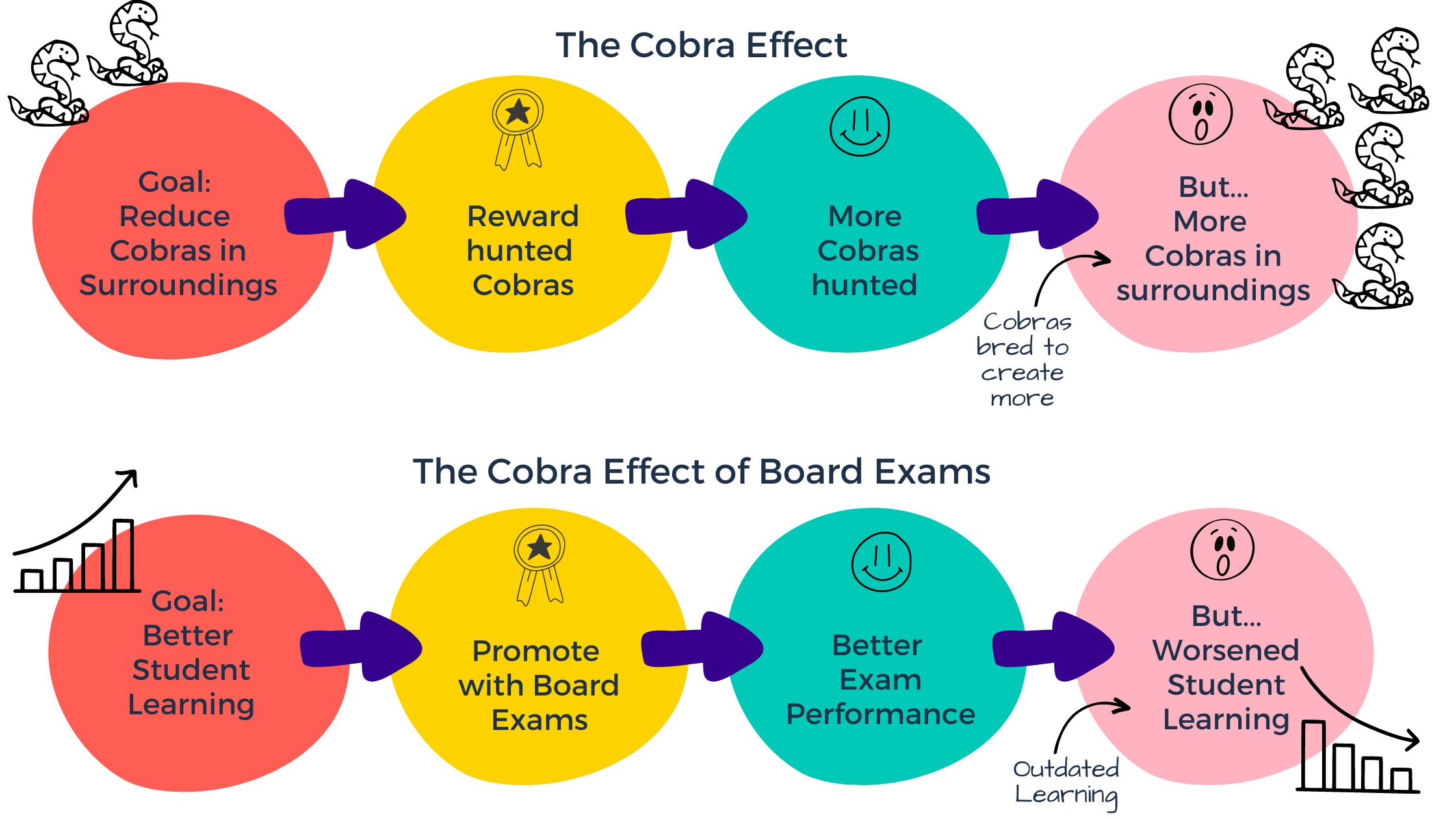 The Cobra Effect of Board Exams - by Radhika Zahedi