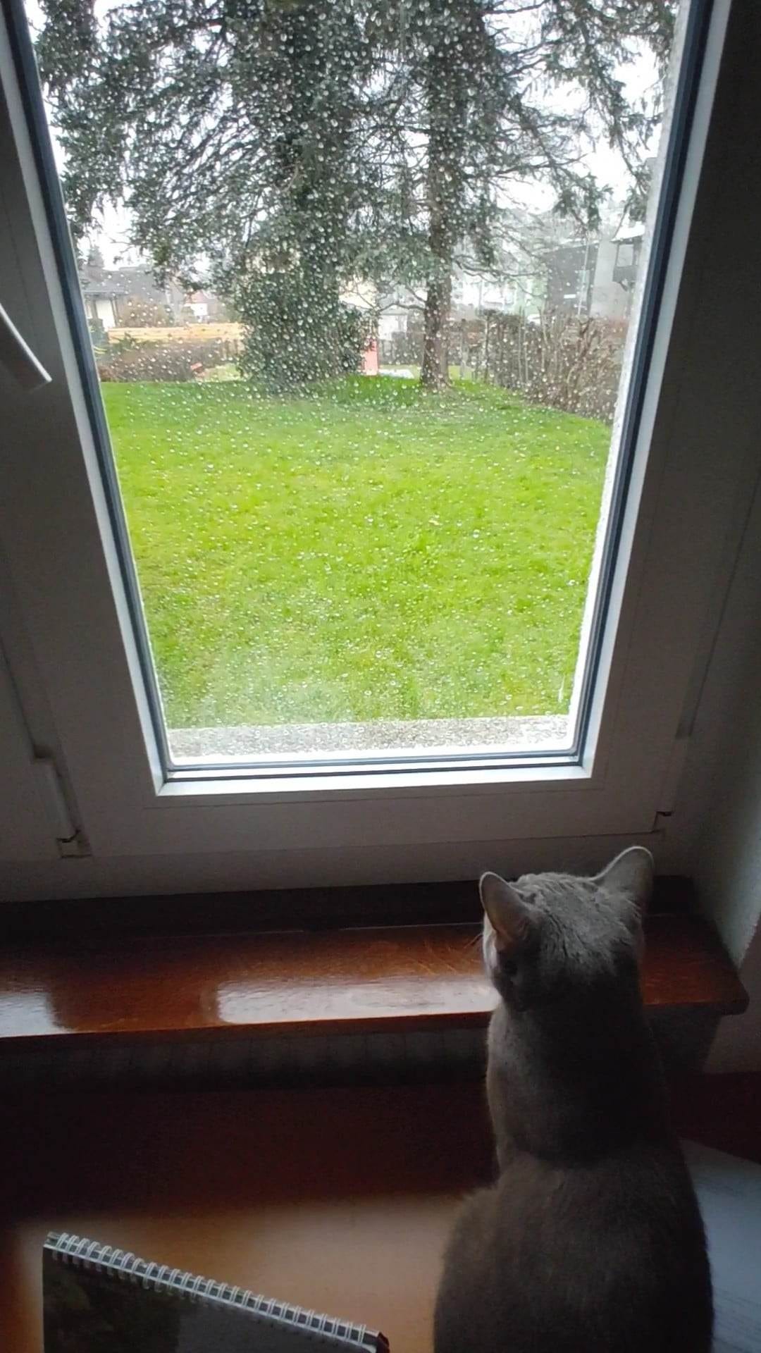 Midwinter spring - by Stephanie - houseblessing