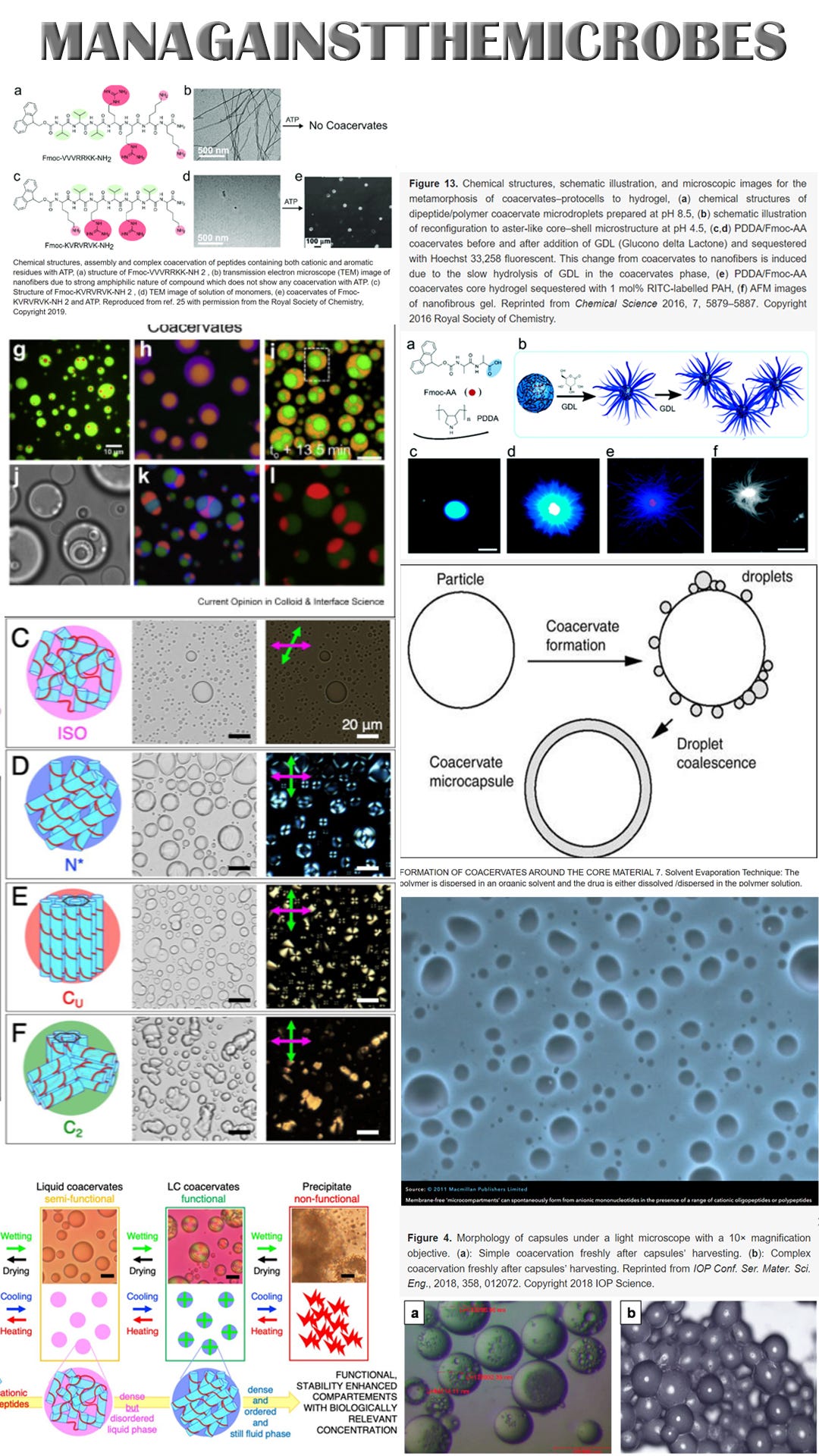 THEORY IN PROGRESS ! Synthetic biology. Protocells/Microcapsules are ...