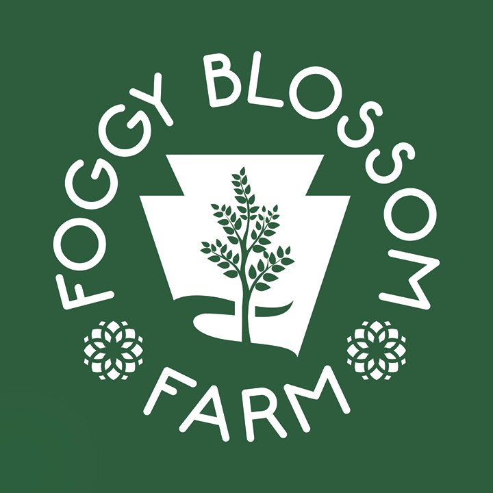 Foggy Blossom | Substack