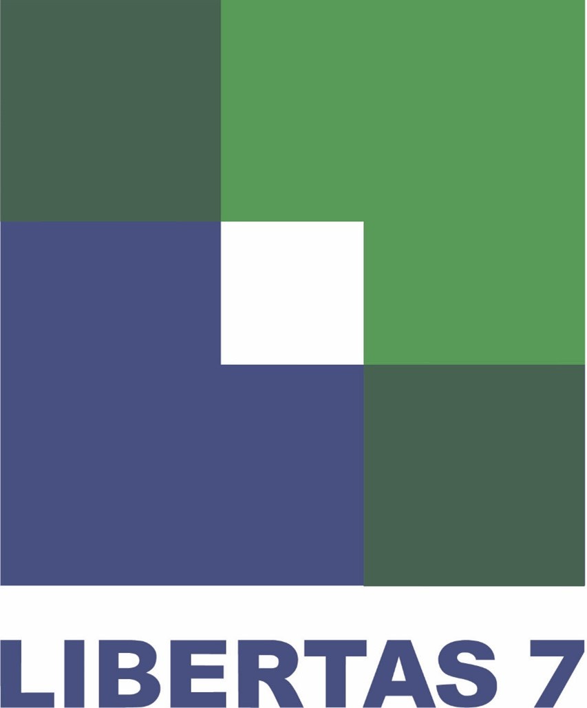 Libertas 7: An Undercovered Deep-Value Play
