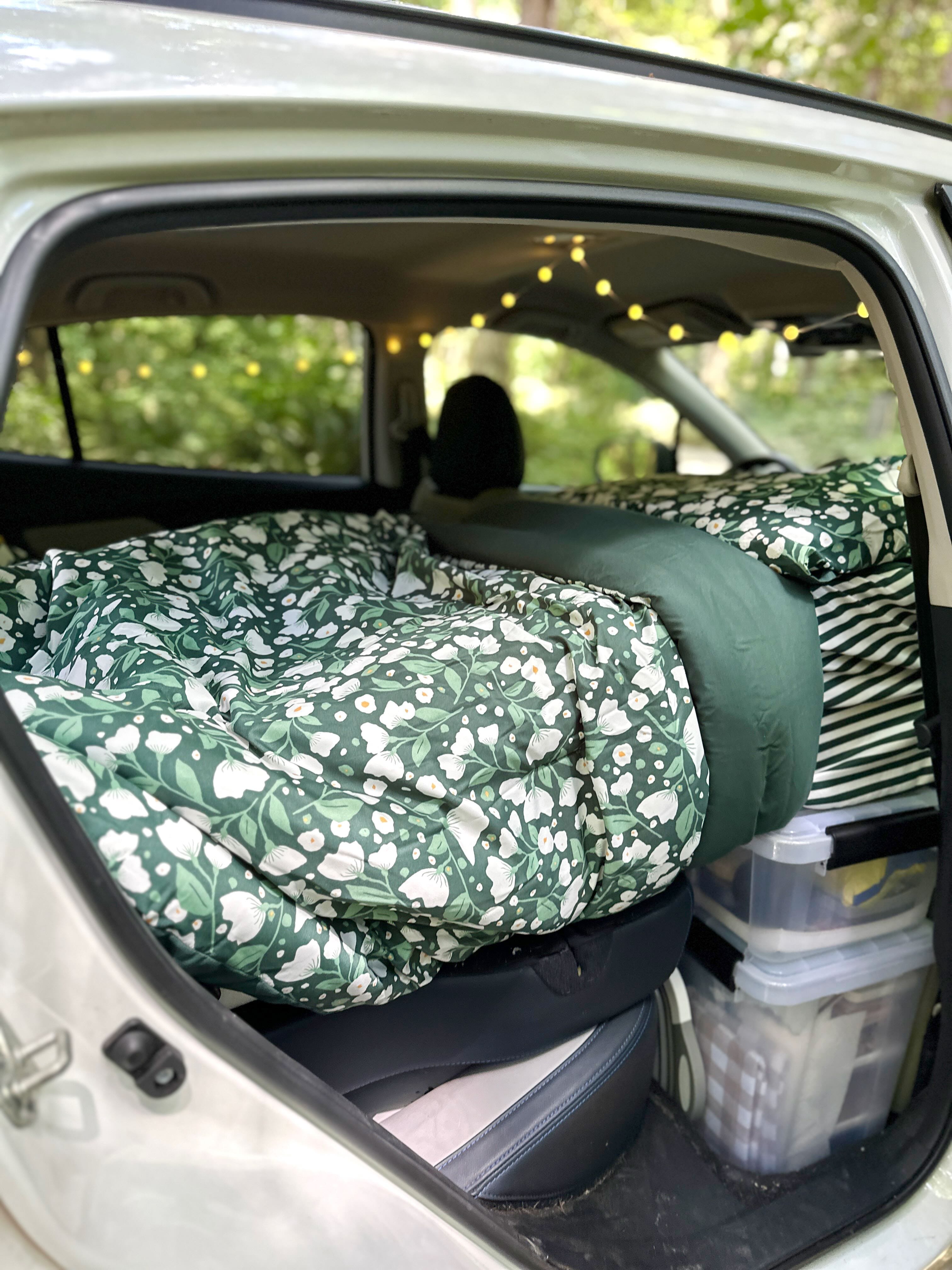 Issue #103: A Complete Guide to (Solo) Car Camping