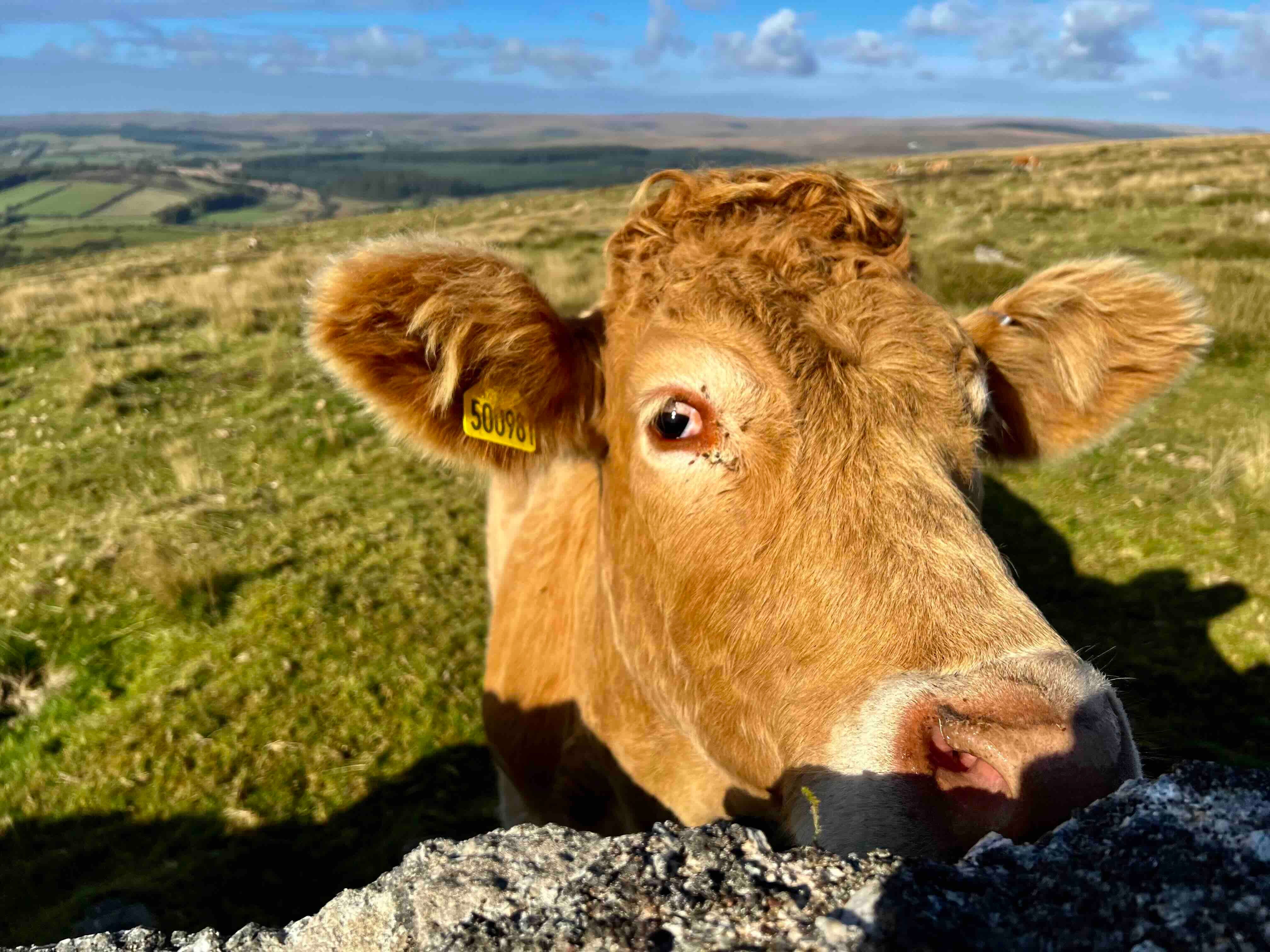 Introducing 'Rolling Along' - by Tom Cobley - Rolling Along