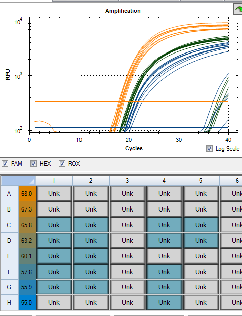 SV40 Enhancer qPCR - by Anandamide