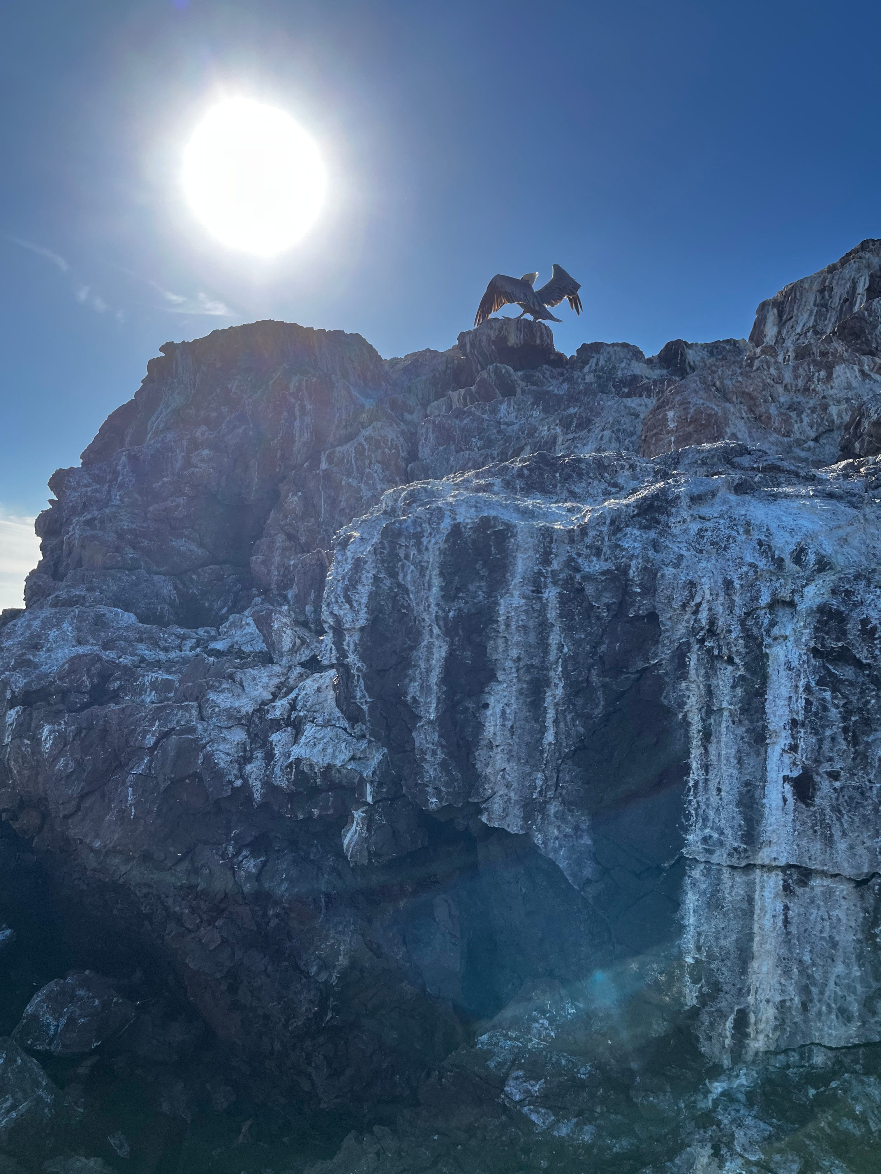 SPECTATORS - Part 87 (and SAGA!)