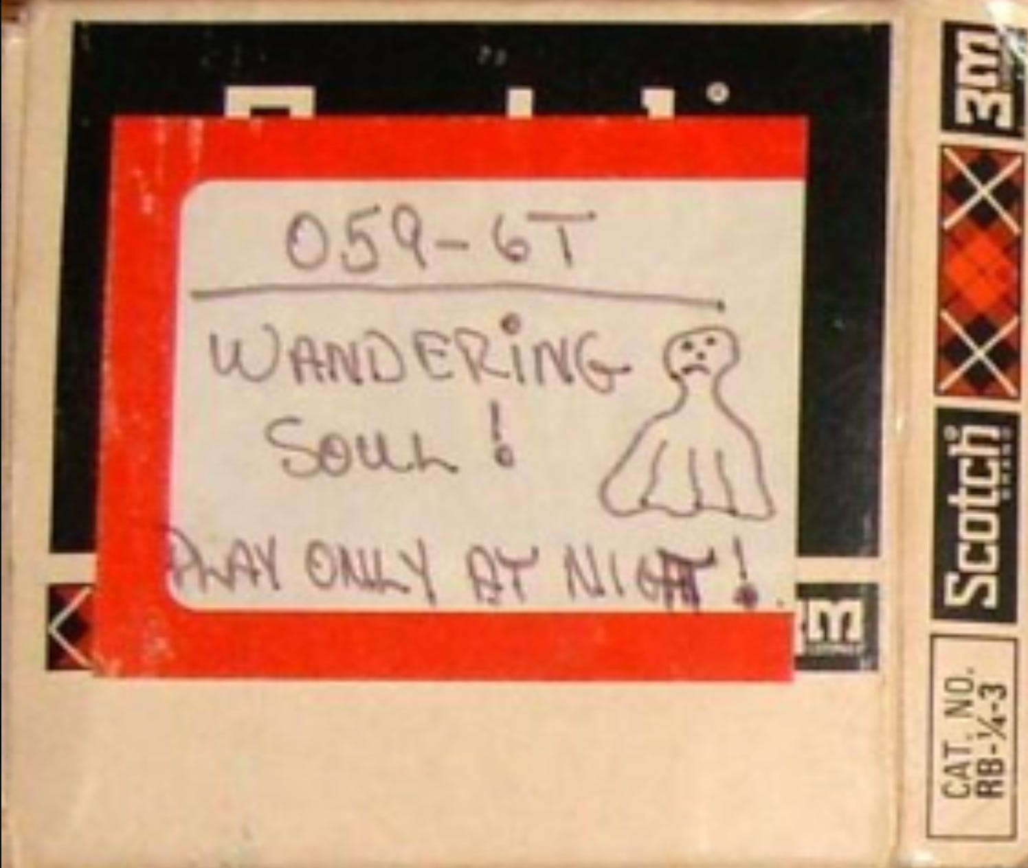 THE SCREAMING GHOSTS OF THE INSANE - by Sam McPheeters