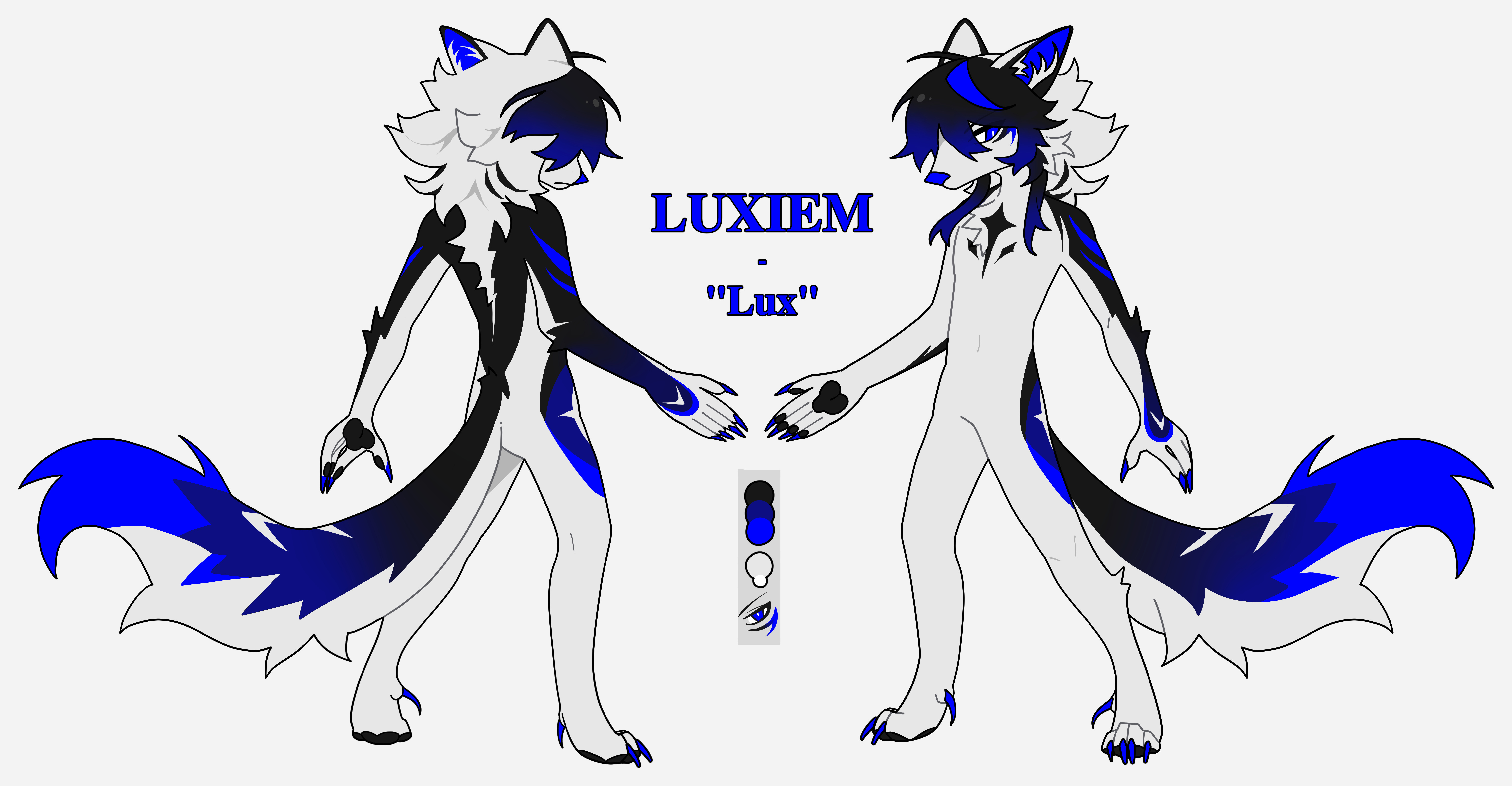 Small Guide For OC Reference Sheets - by AudTrico