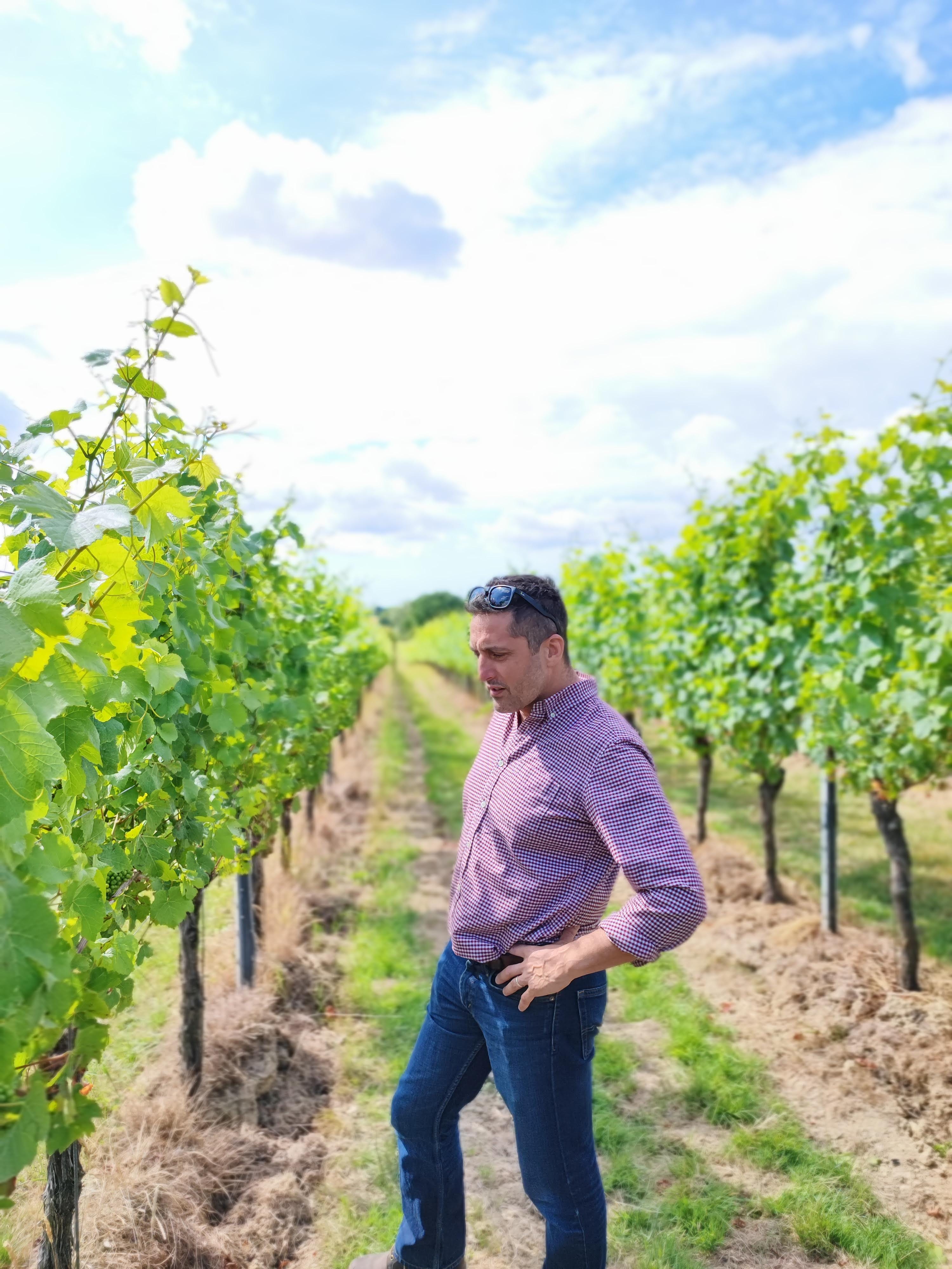 Moving The Edge - Viticulture in England - by Tom Hewson