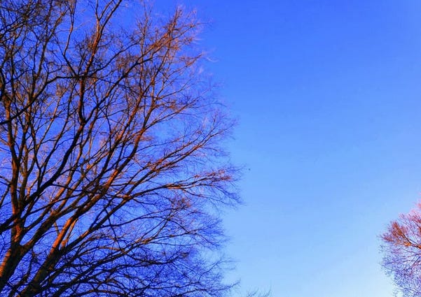 "Seeking Truth" - by Steve Applegate - Steve’s Substack