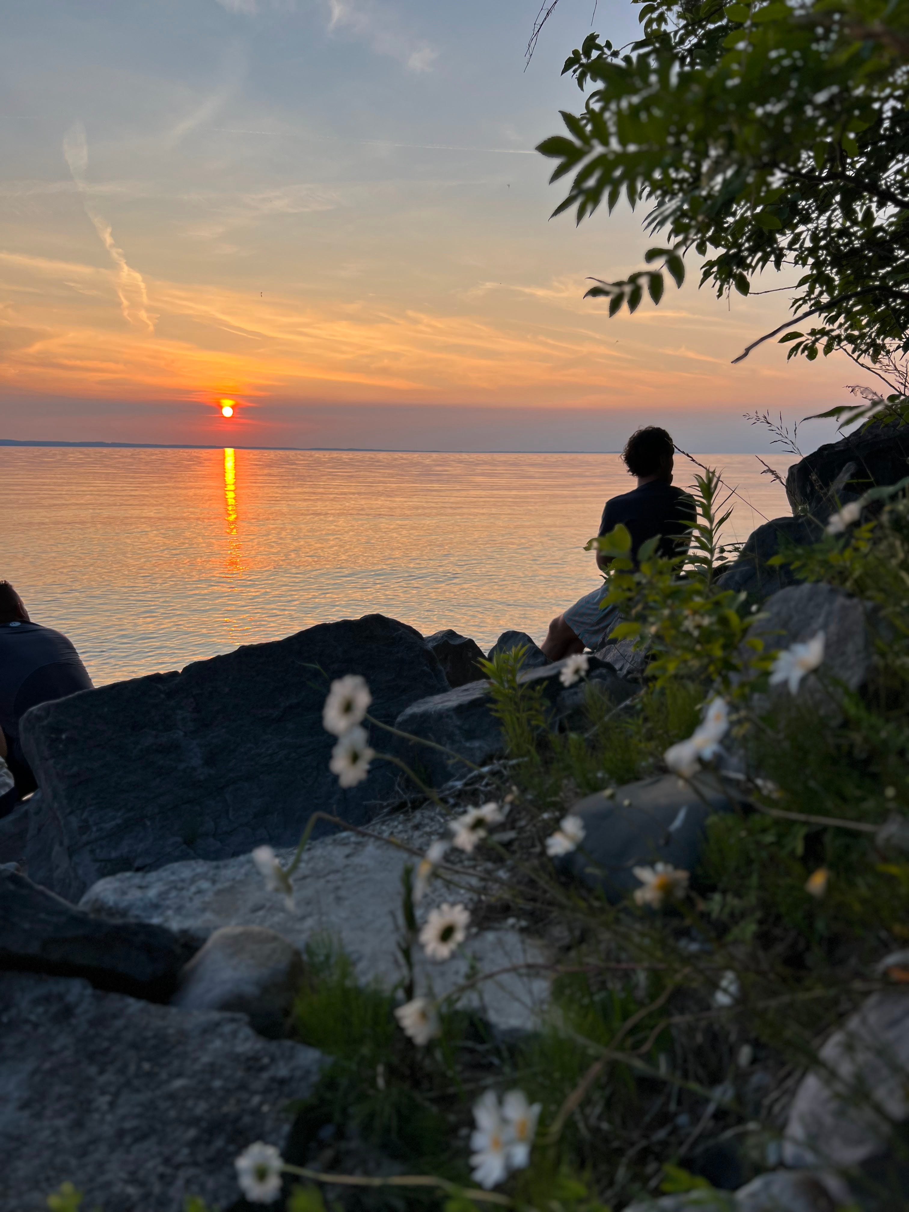 The Circle of Life - by Jacob Stephen - Jacob’s Substack