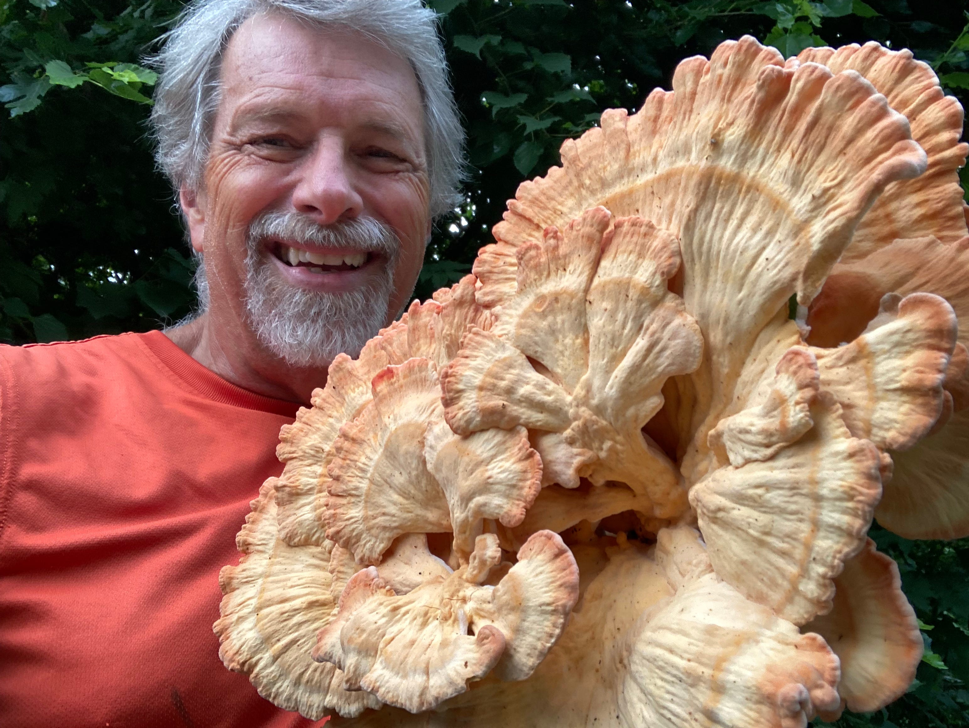 Frank Hyman | Substack