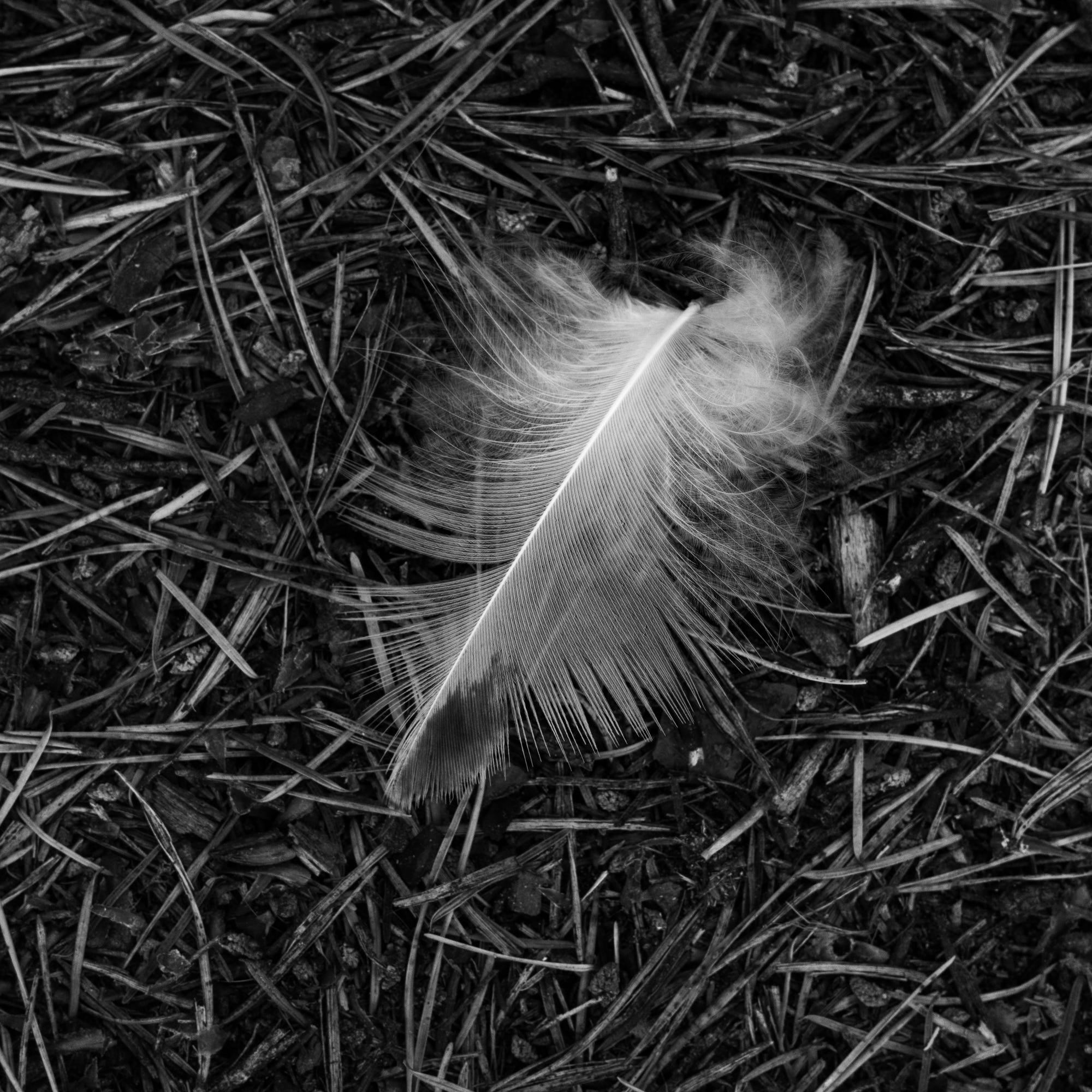 My visual journal #1 - by Susanne Helmert - My Morning Muse